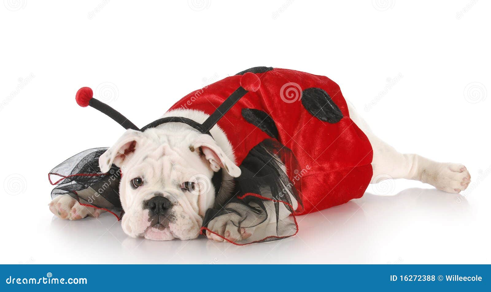 Sad Bug Comic Stock Photos - Free & Royalty-Free Stock Photos from ...