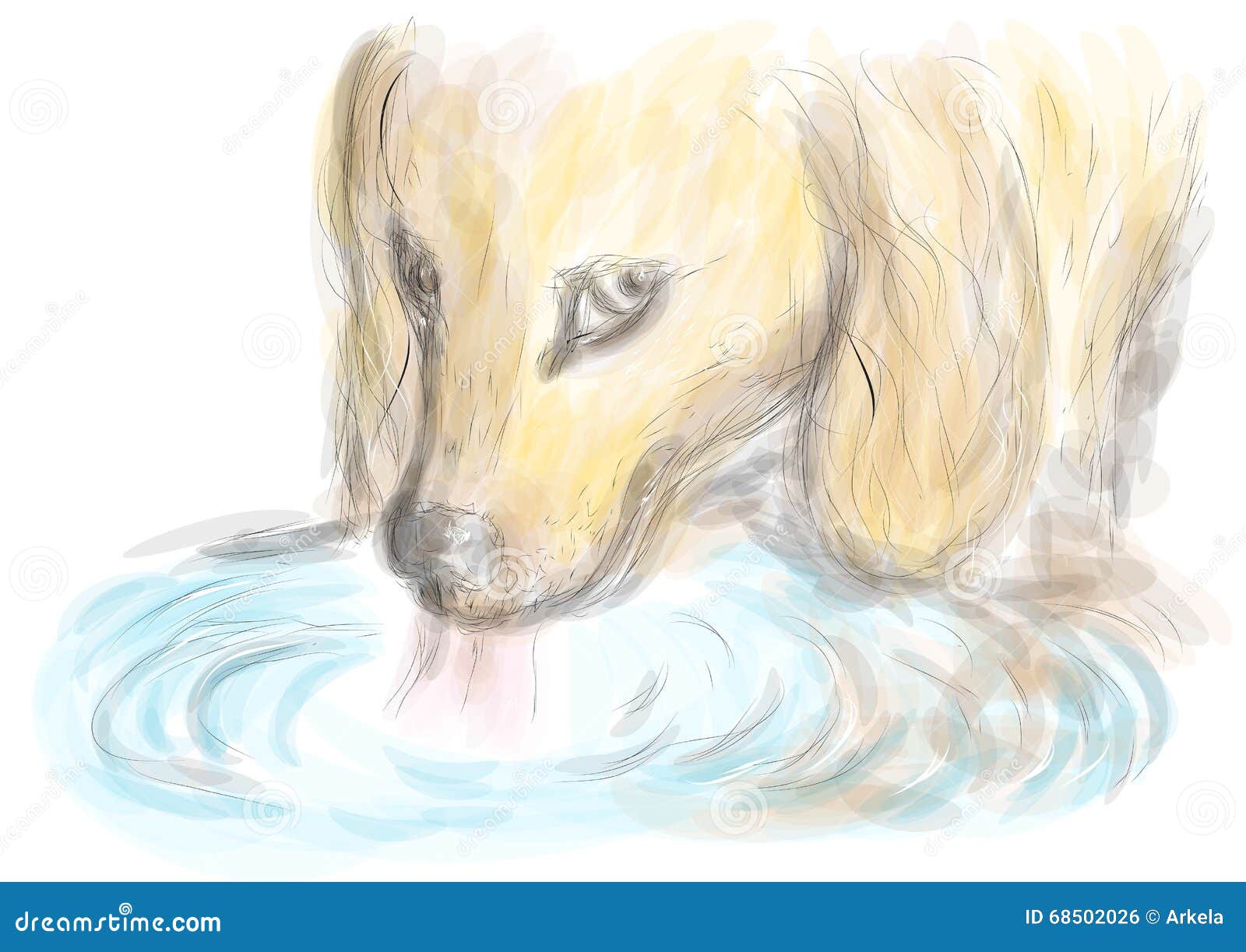 Dog Drinking Water Stock Illustrations – 186 Dog Drinking Water Stock ...