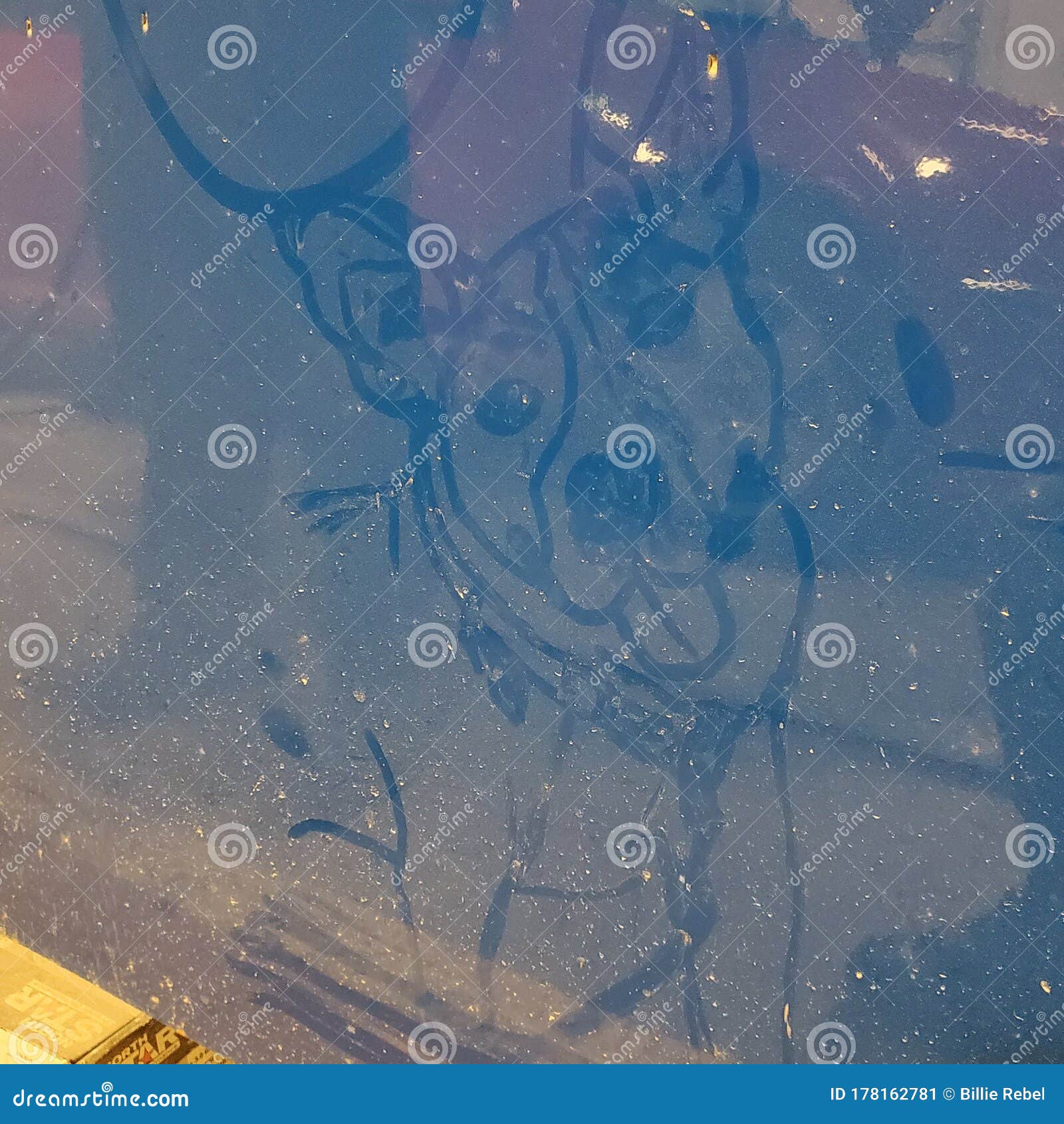 Dog dust art editorial photo. Image of dust, blue, reflection - 178162781