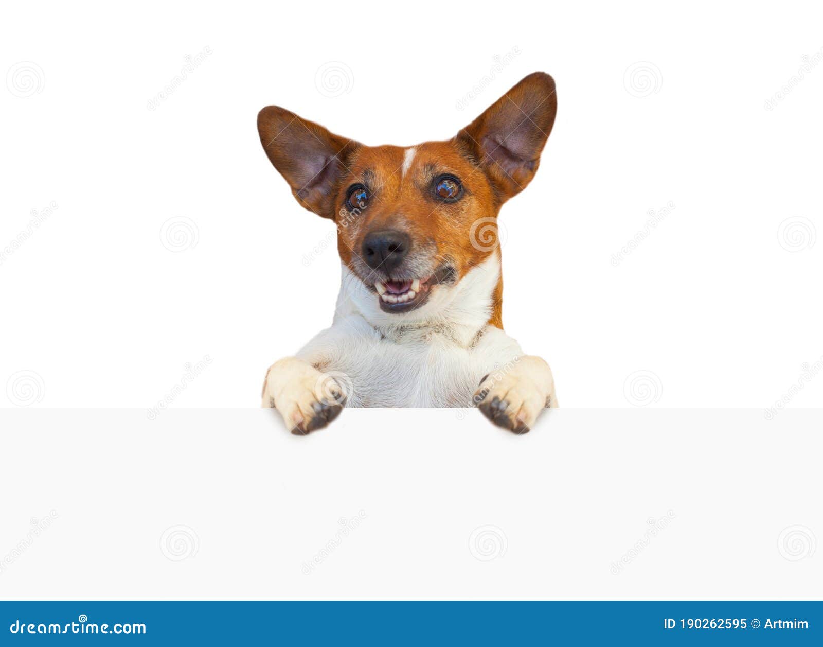 Dog with Empty White Banner Signboard Isolated on White Background ...