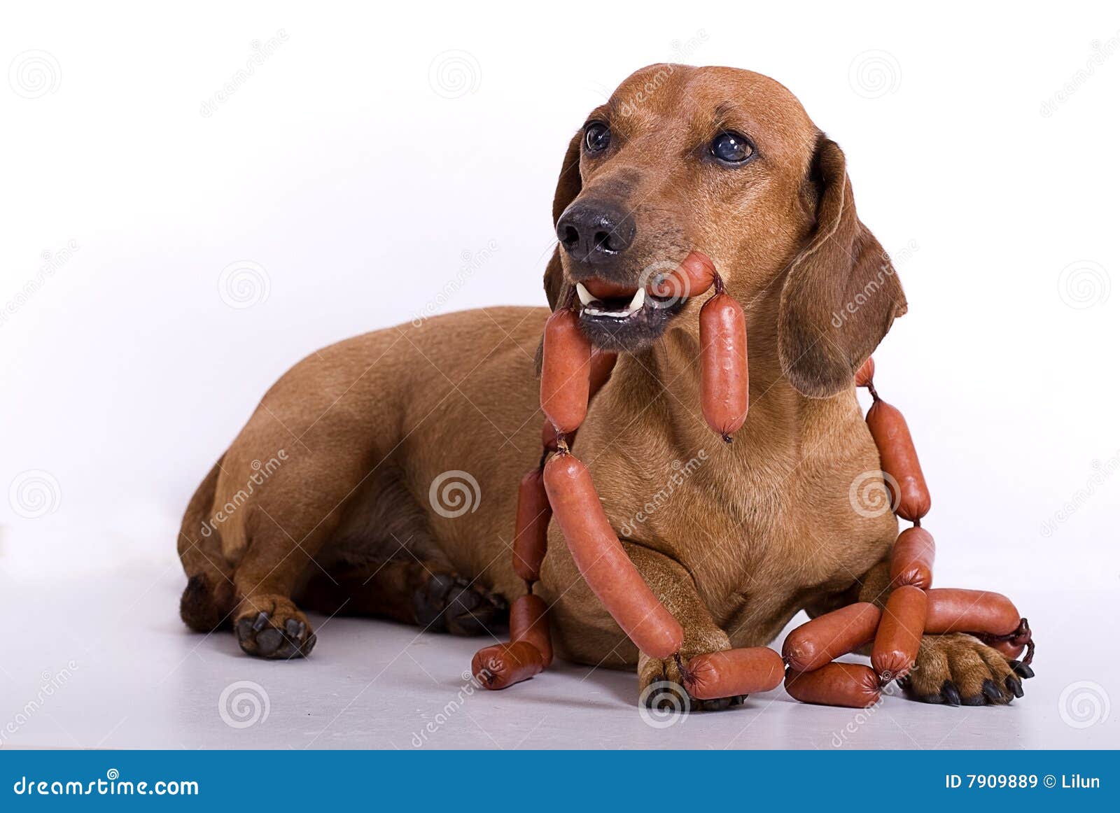 Dog end sausage stock image. Image of barbecue, pepperoni - 7909889