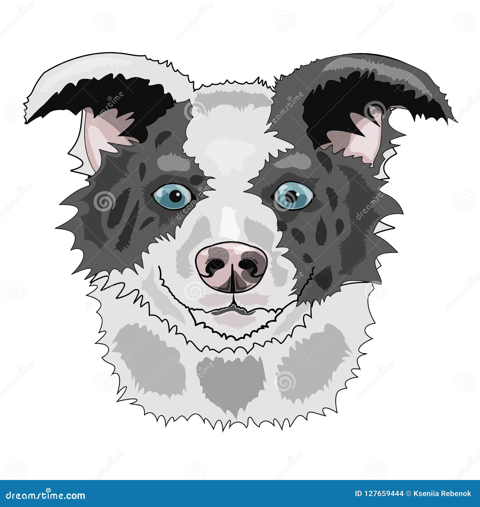 Dog Face Vector Illustration Breed Border Collie | CartoonDealer.com ...
