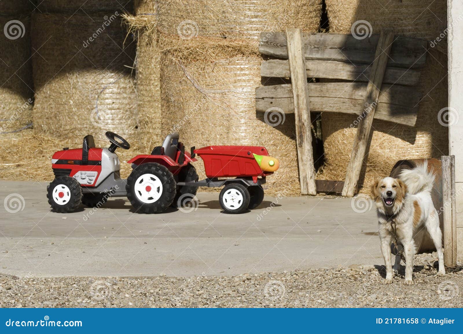 Dog and a farm tractor stock photo. Image of produced - 21781658