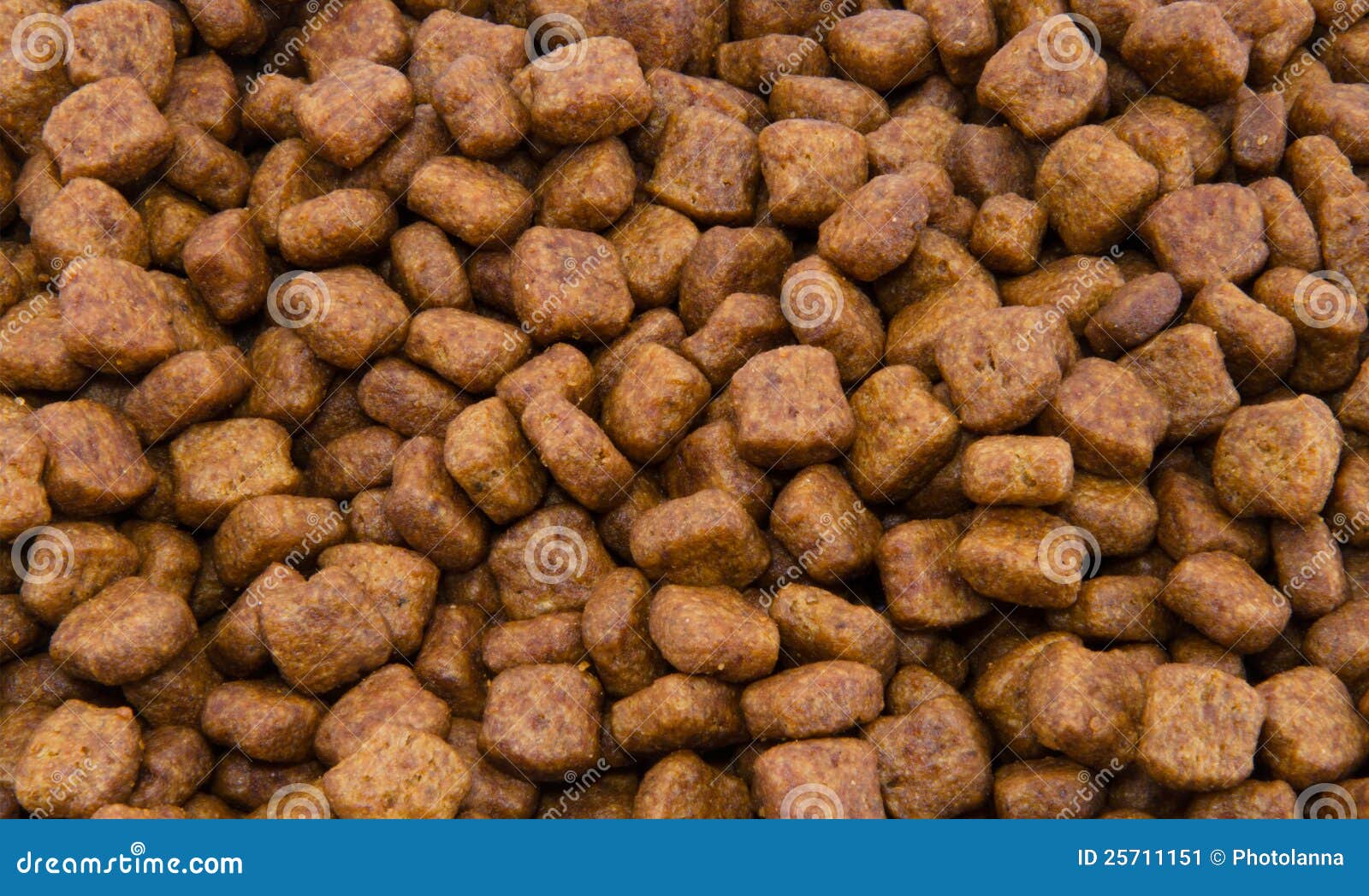 Dog Food stock image. Image of hungry, cute, nutrition - 25711151
