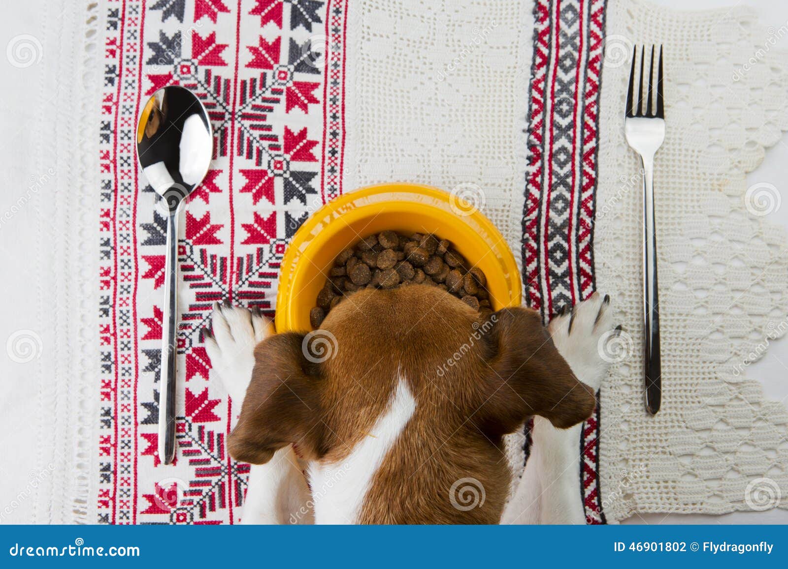 Dog food banner stock photo. Image of checkered, etiquette - 46901802