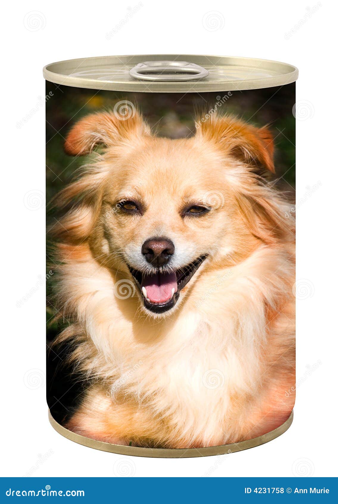 Dog Food Can stock photo. Image of isolated, food, dinner - 4231758