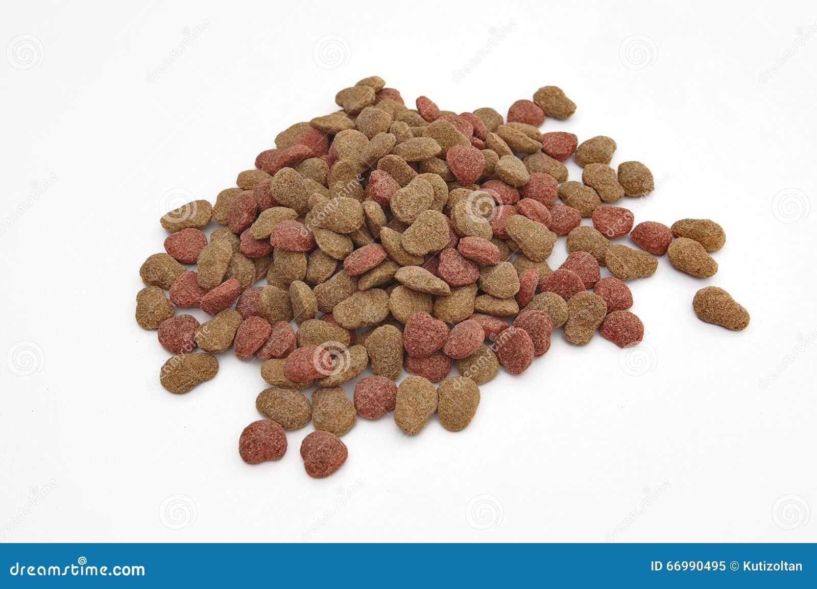 Dog food stock image. Image of behavior, closeup, eating - 66990495