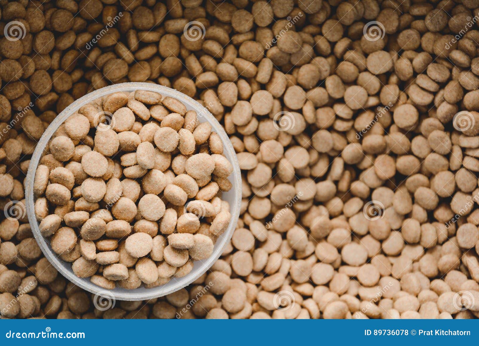 Dog food pattern stock photo. Image of isolated, protein - 89736078