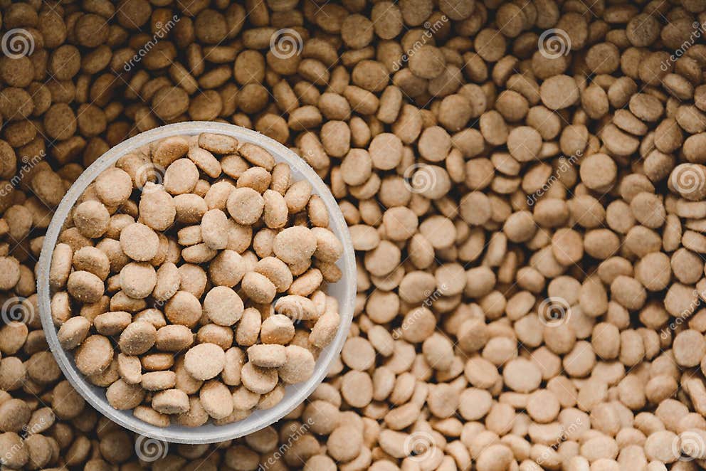 Dog food pattern stock photo. Image of isolated, protein - 89736078
