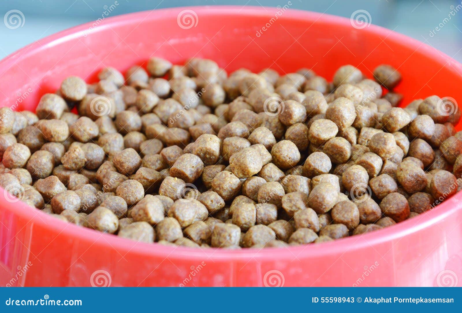 Dog food in red bowl stock image. Image of food, bowl - 55598943