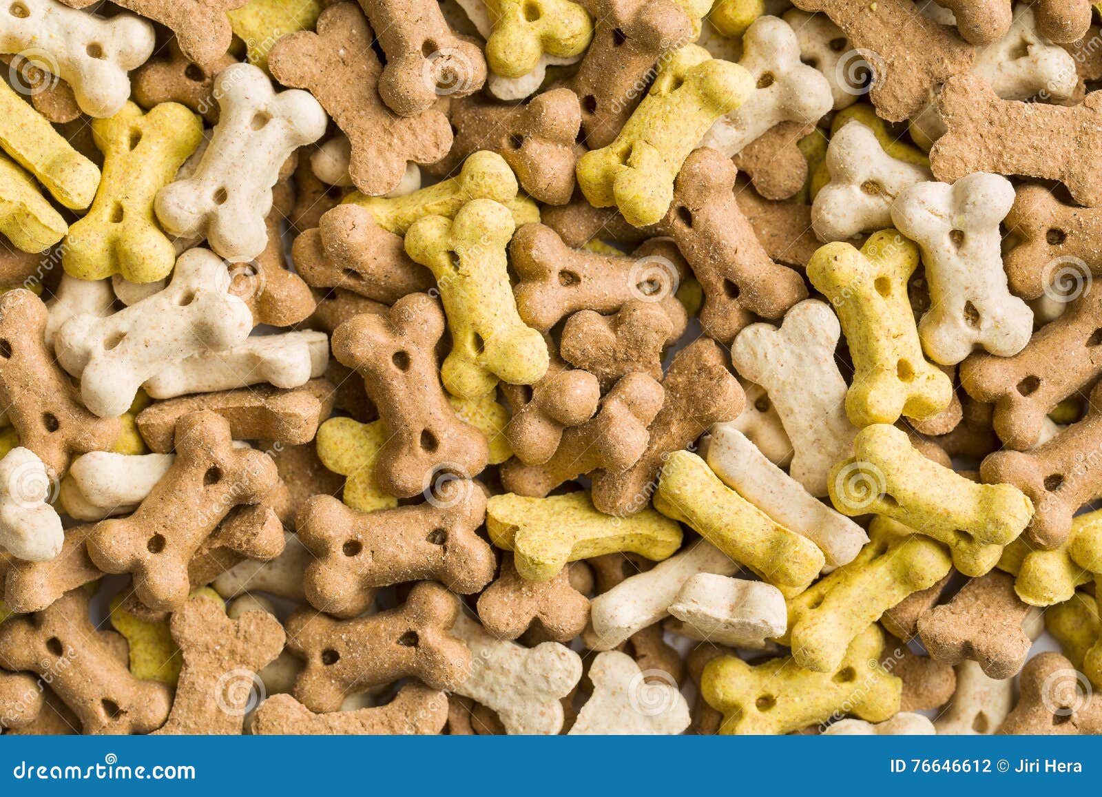 Dog Food Shaped Like Bones. Stock Photo - Image of healthy, kibble ...