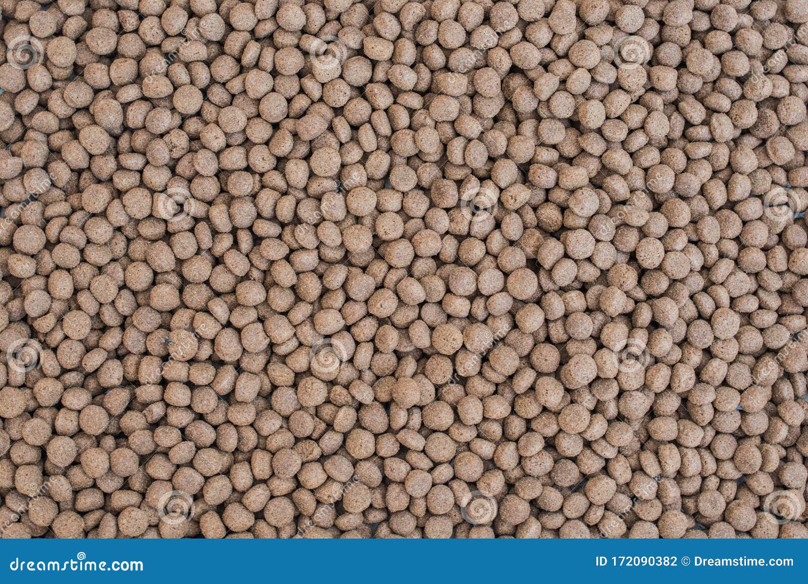 Dog food texture stock photo. Image of diet, healthy - 172090382