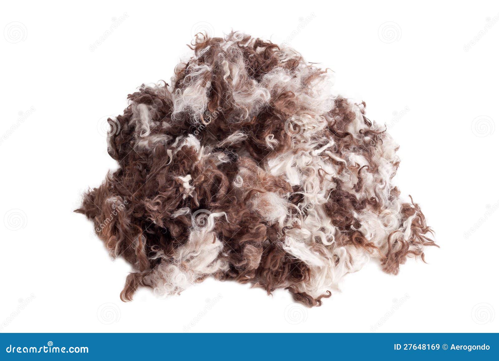 Dog fur stock image. Image of pile, haircut, white, texture - 27648169