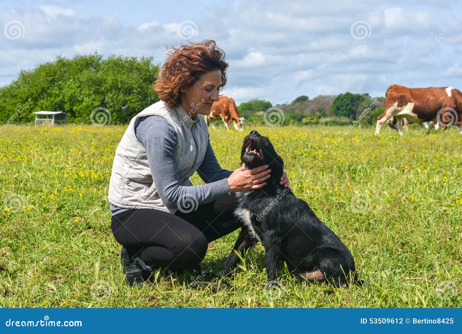Dog Gets Caressed by His Master Editorial Photography - Image of armed ...