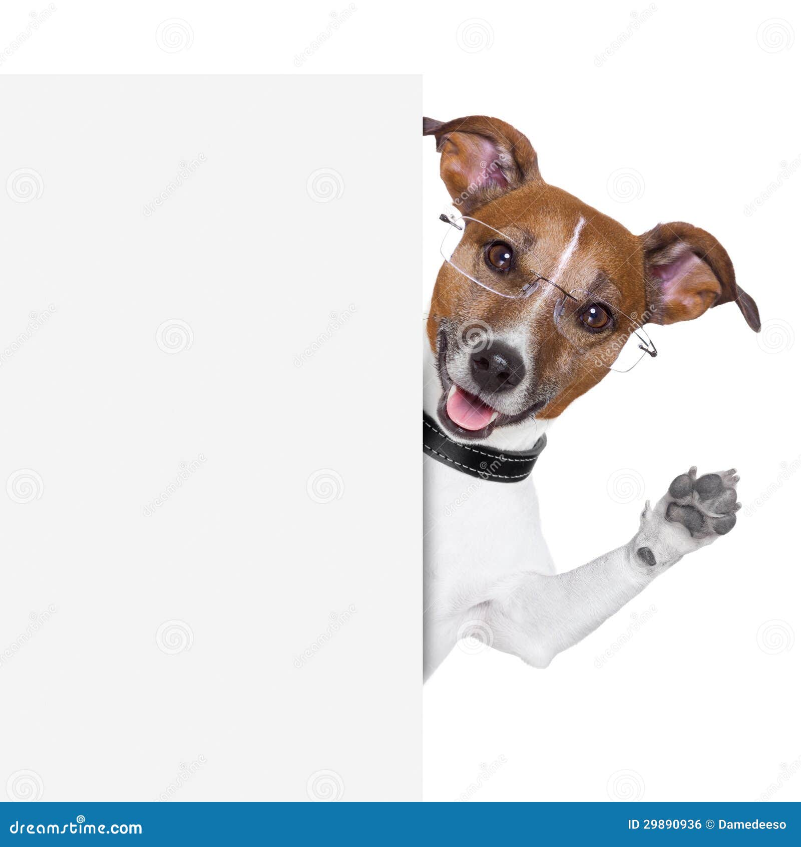 Dog banner stock photo. Image of copy, blank, hold, card - 29890936