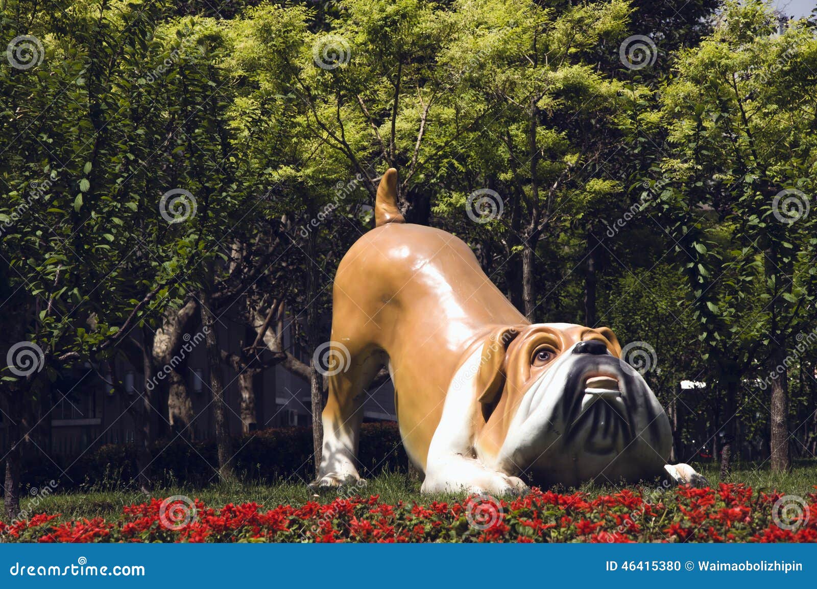 Dog stock photo. Image of blue, like, lazy, browne, medical - 46415380