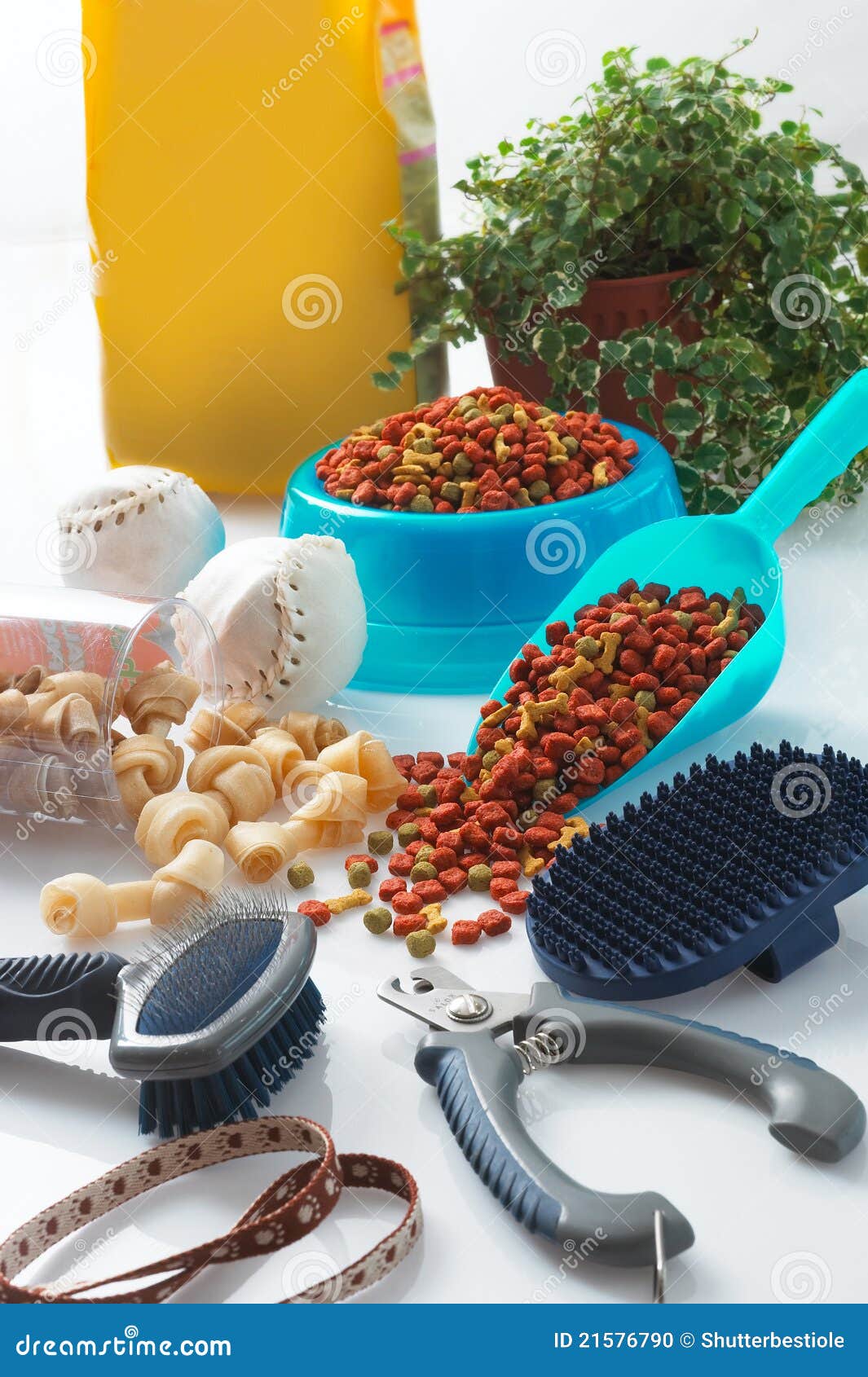 Dog Grooming Tools stock photo. Image of delicious, dogs - 21576790