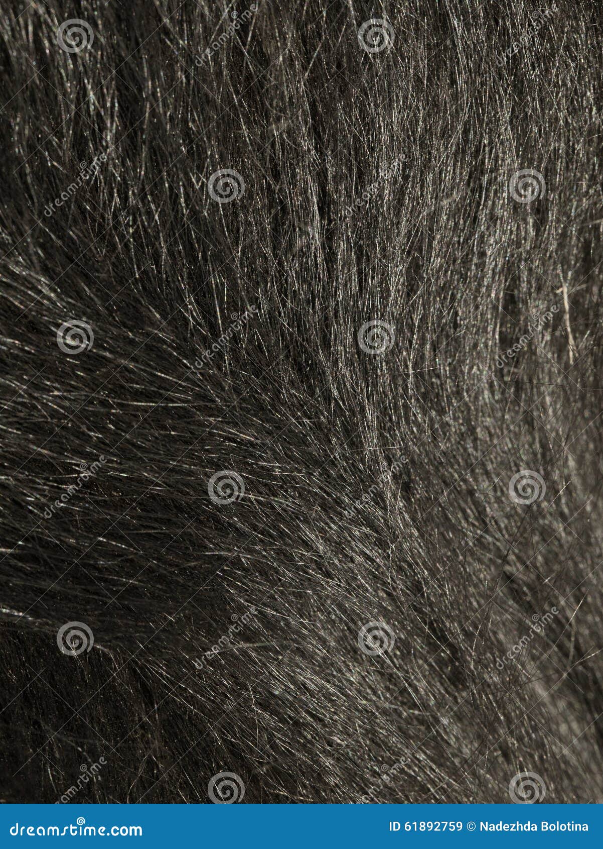 Dog hair texture stock image. Image of vertical, animal - 61892759