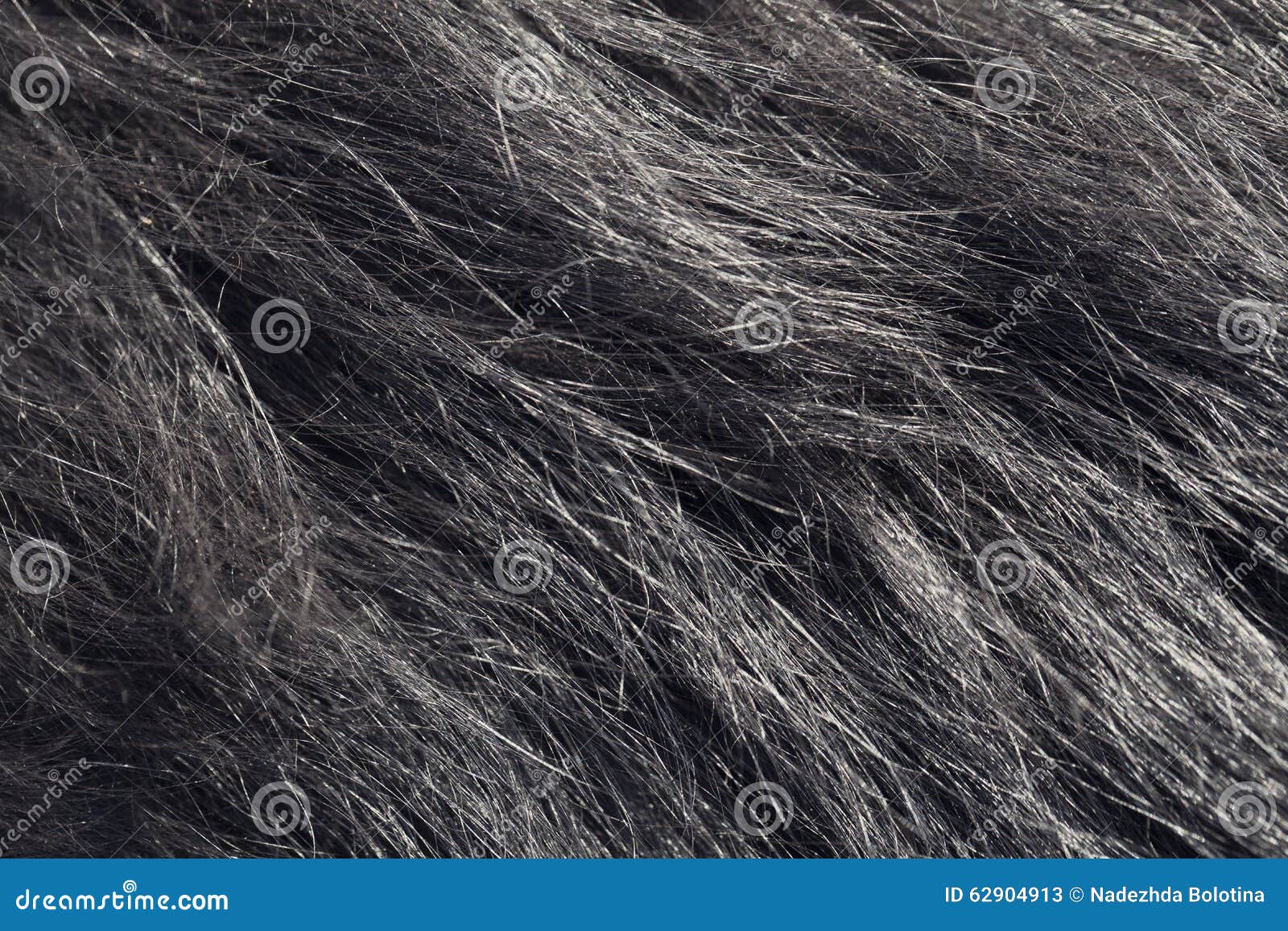 Dog hair texture stock image. Image of animal, fluffy - 62904913