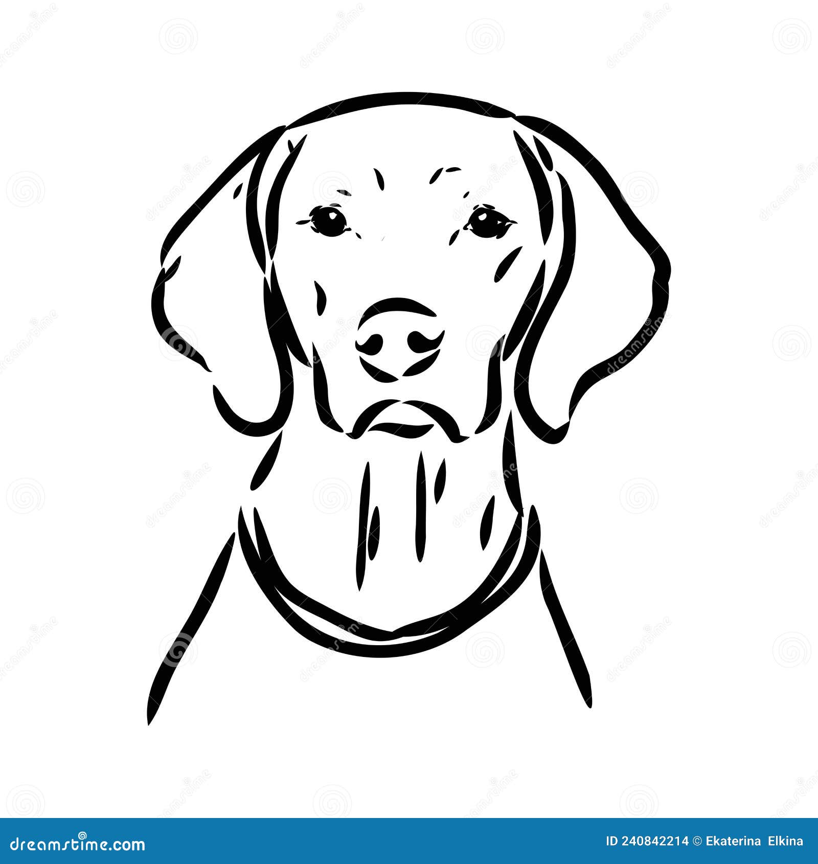 Dog Hand Drawn. Pointer stock vector. Illustration of outline - 240842214