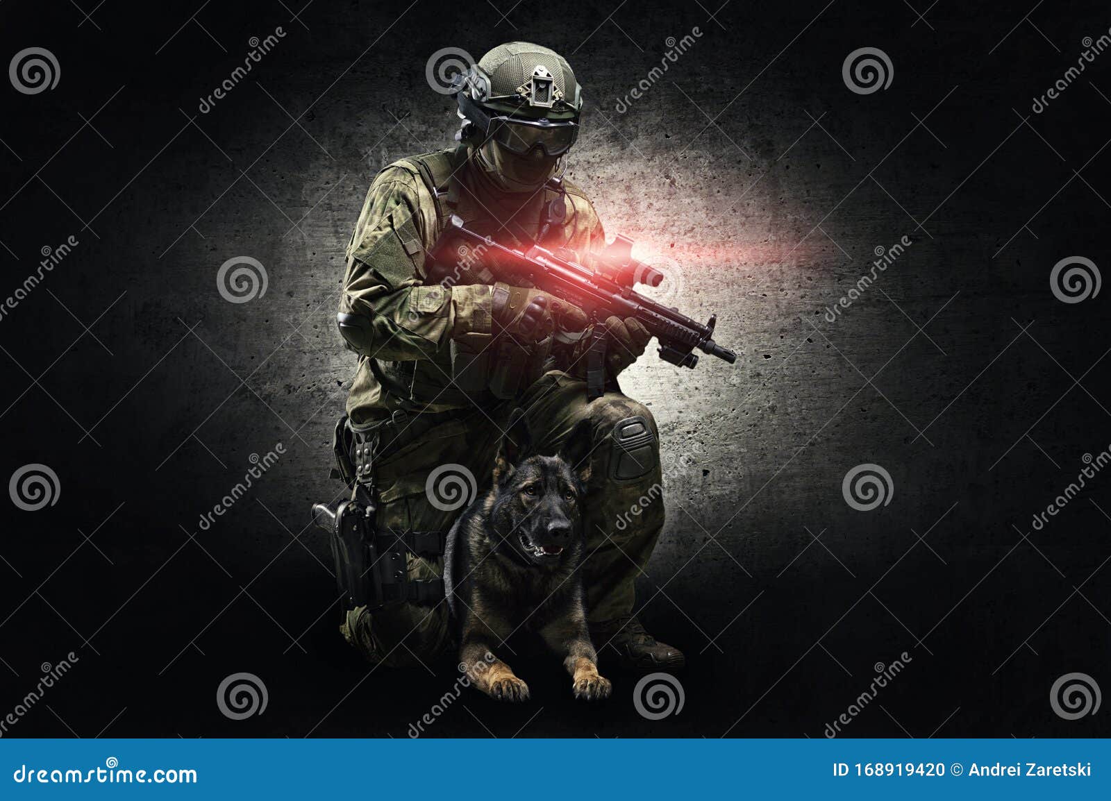Dog Handler Posing in the Studio with a Trained Shepherd. the Concept ...