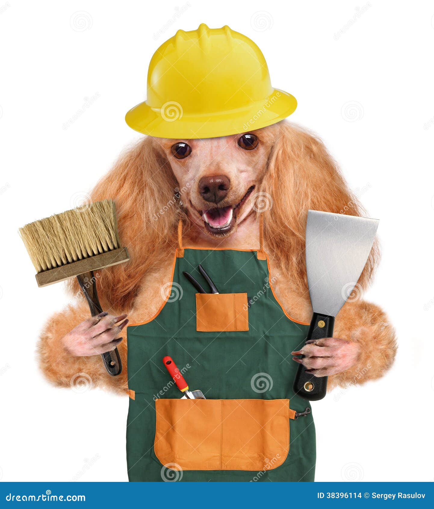 Dog handyman stock photo. Image of copy, helmet, contractor - 38396114