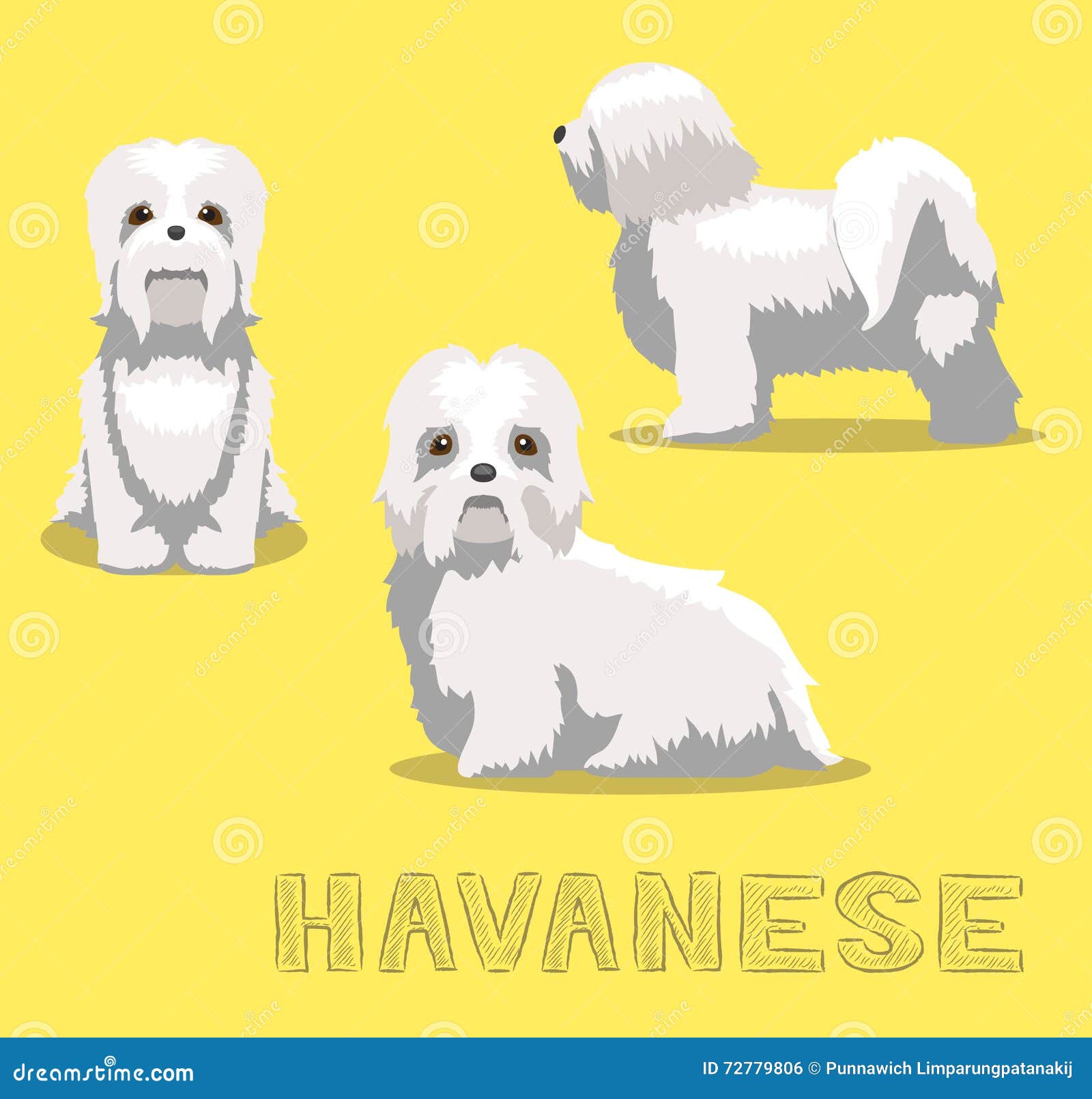 Dog Havanese Cartoon Vector Illustration Stock Vector - Illustration of ...