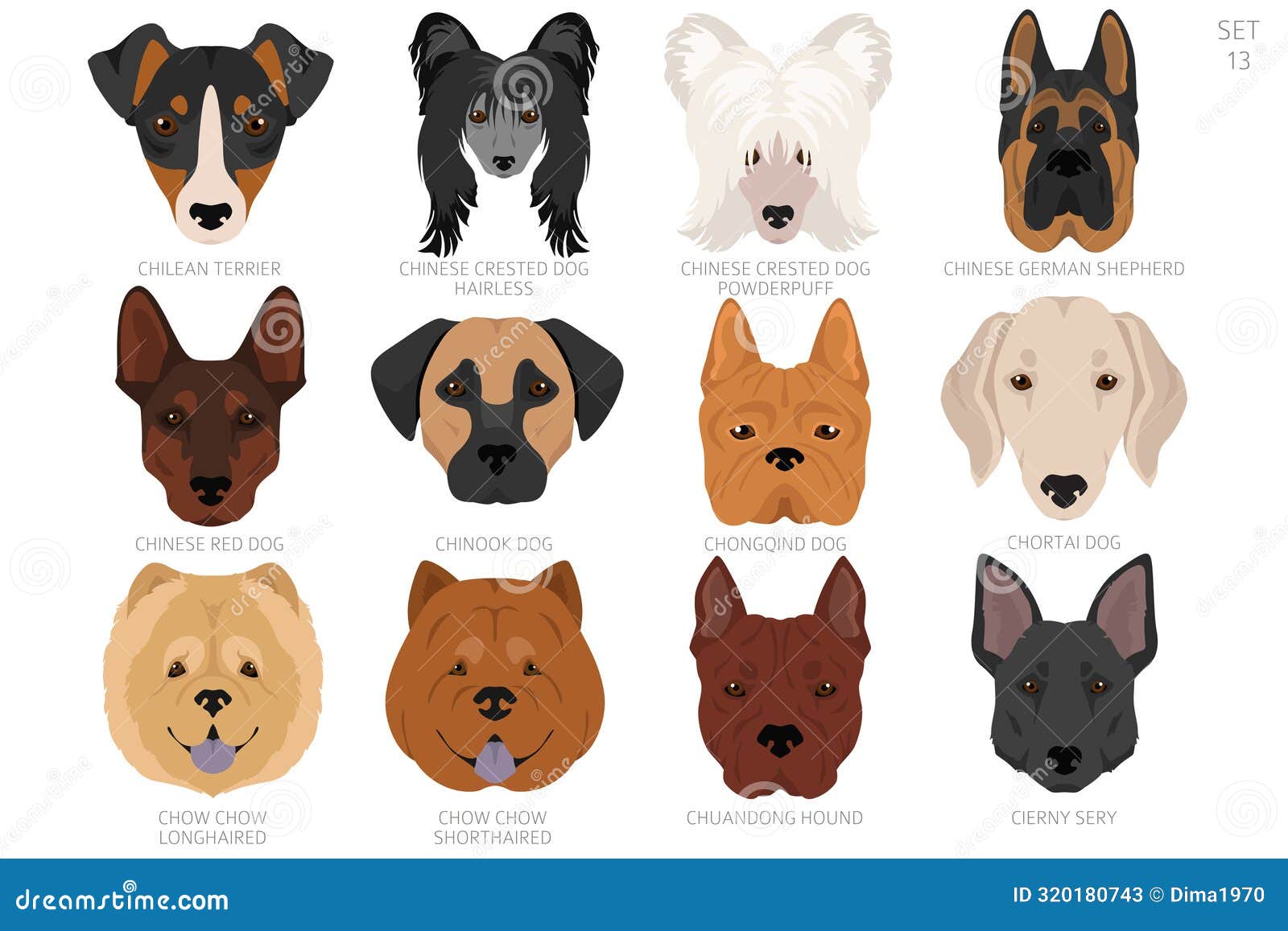 Dog Head in Alphabet Order. All Dog Breeds Stock Vector - Illustration ...
