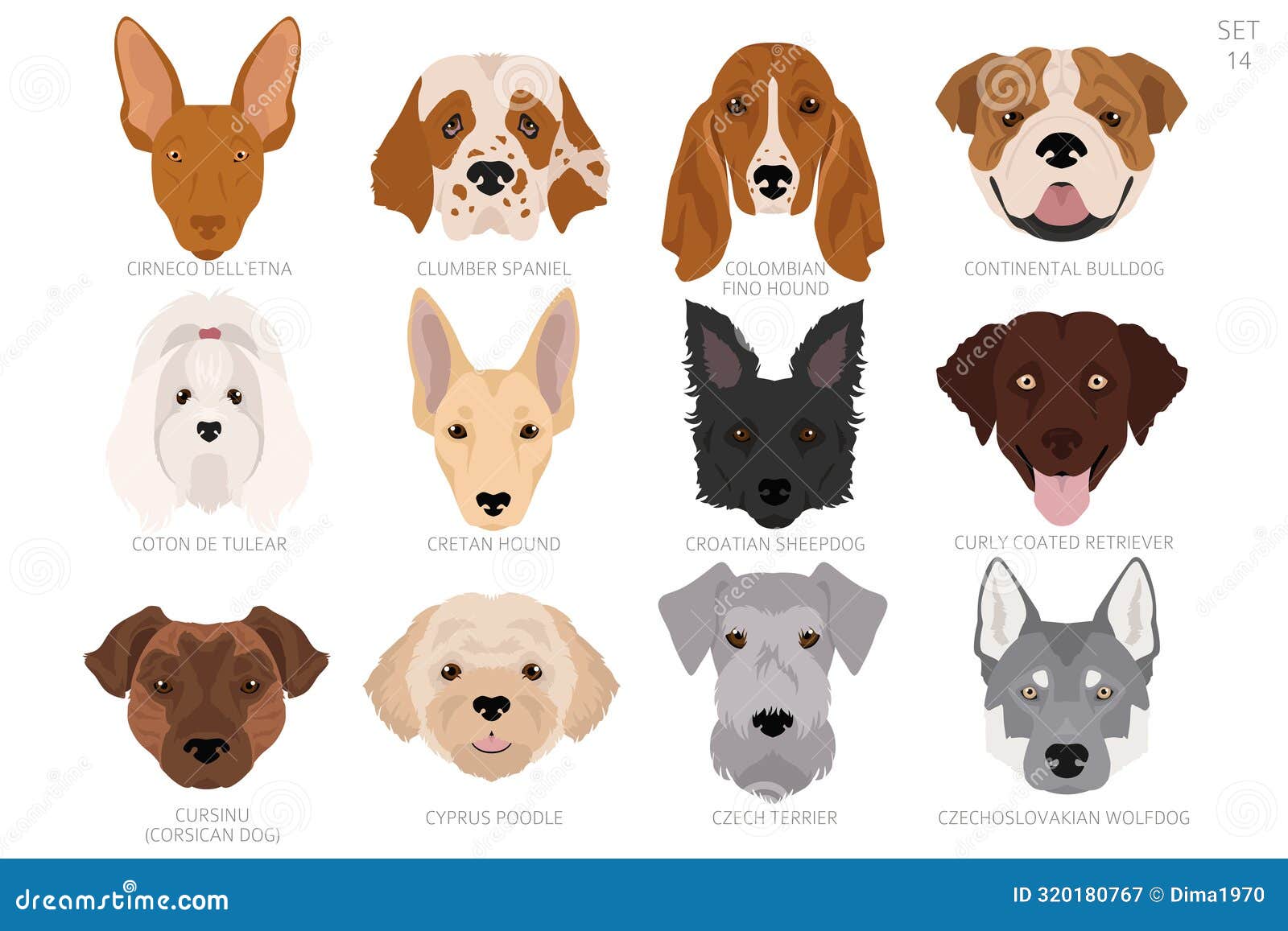Dog Head in Alphabet Order. All Dog Breeds Stock Vector - Illustration ...