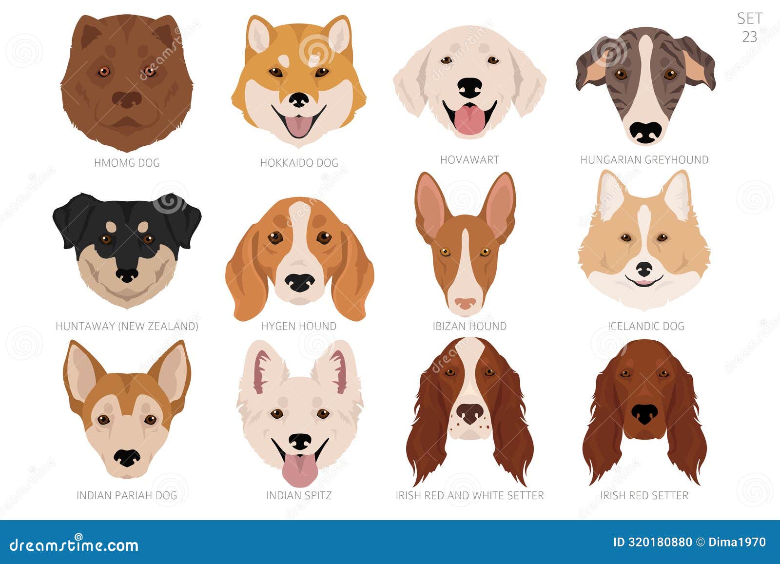 Dog Head in Alphabet Order. All Dog Breeds Stock Vector - Illustration ...