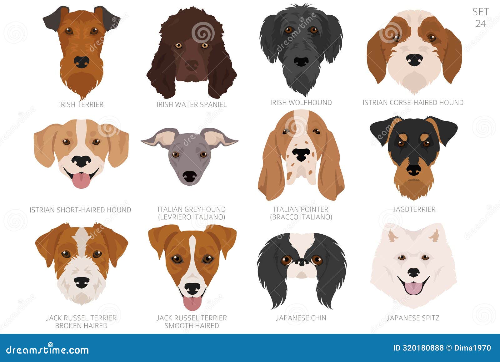 Dog Head in Alphabet Order. All Dog Breeds Stock Vector - Illustration ...