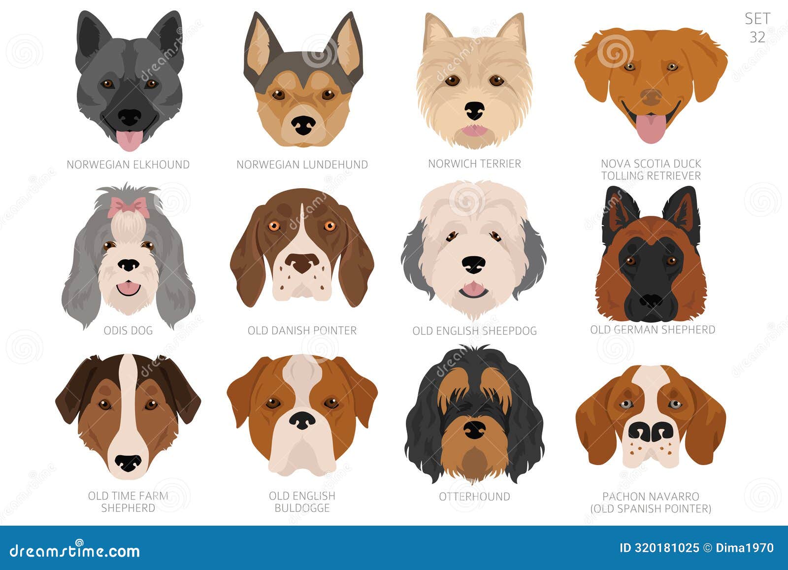 Dog Head in Alphabet Order. All Dog Breeds Stock Vector - Illustration ...