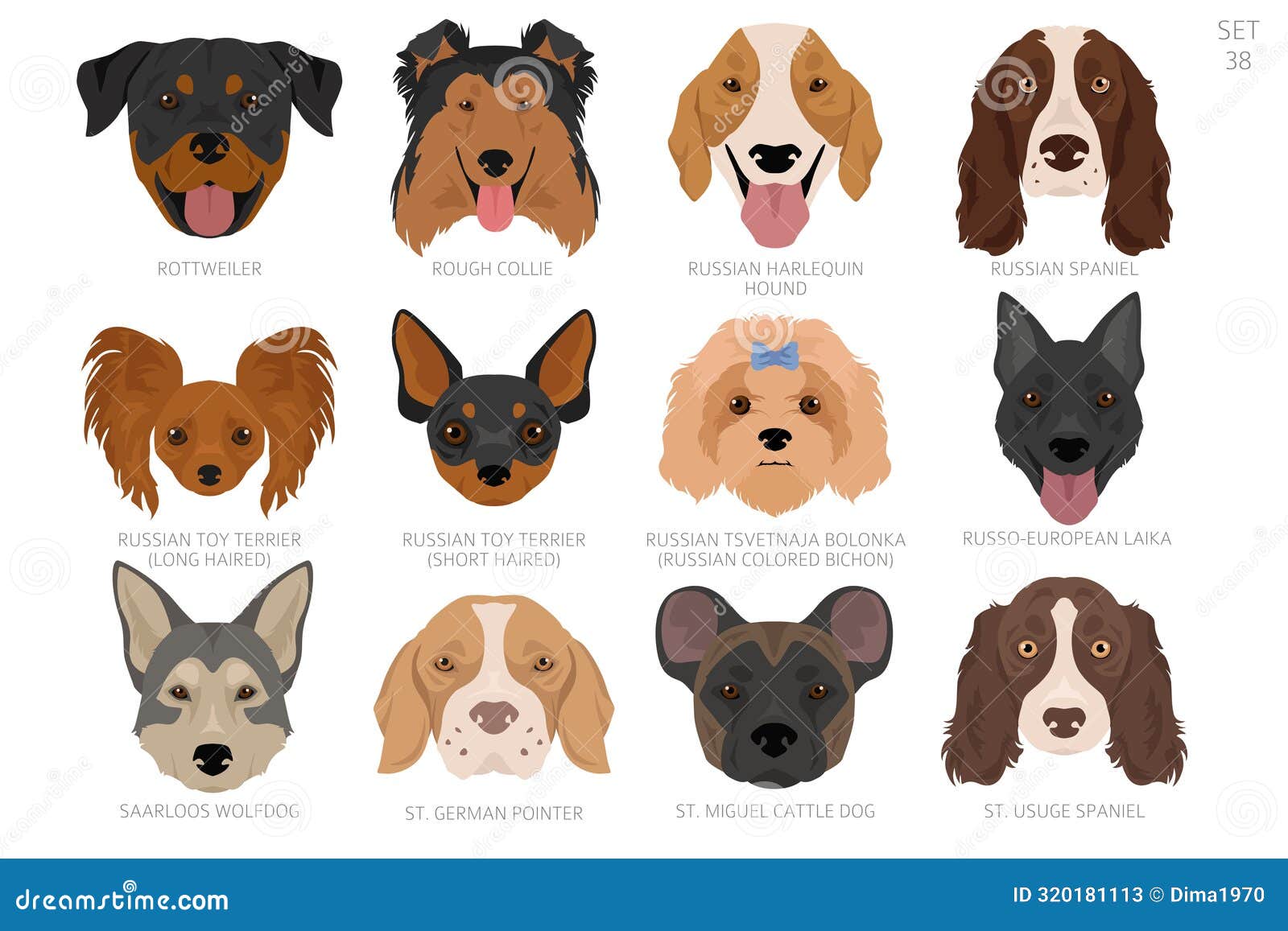 Dog Head in Alphabet Order. All Dog Breeds Stock Vector - Illustration ...