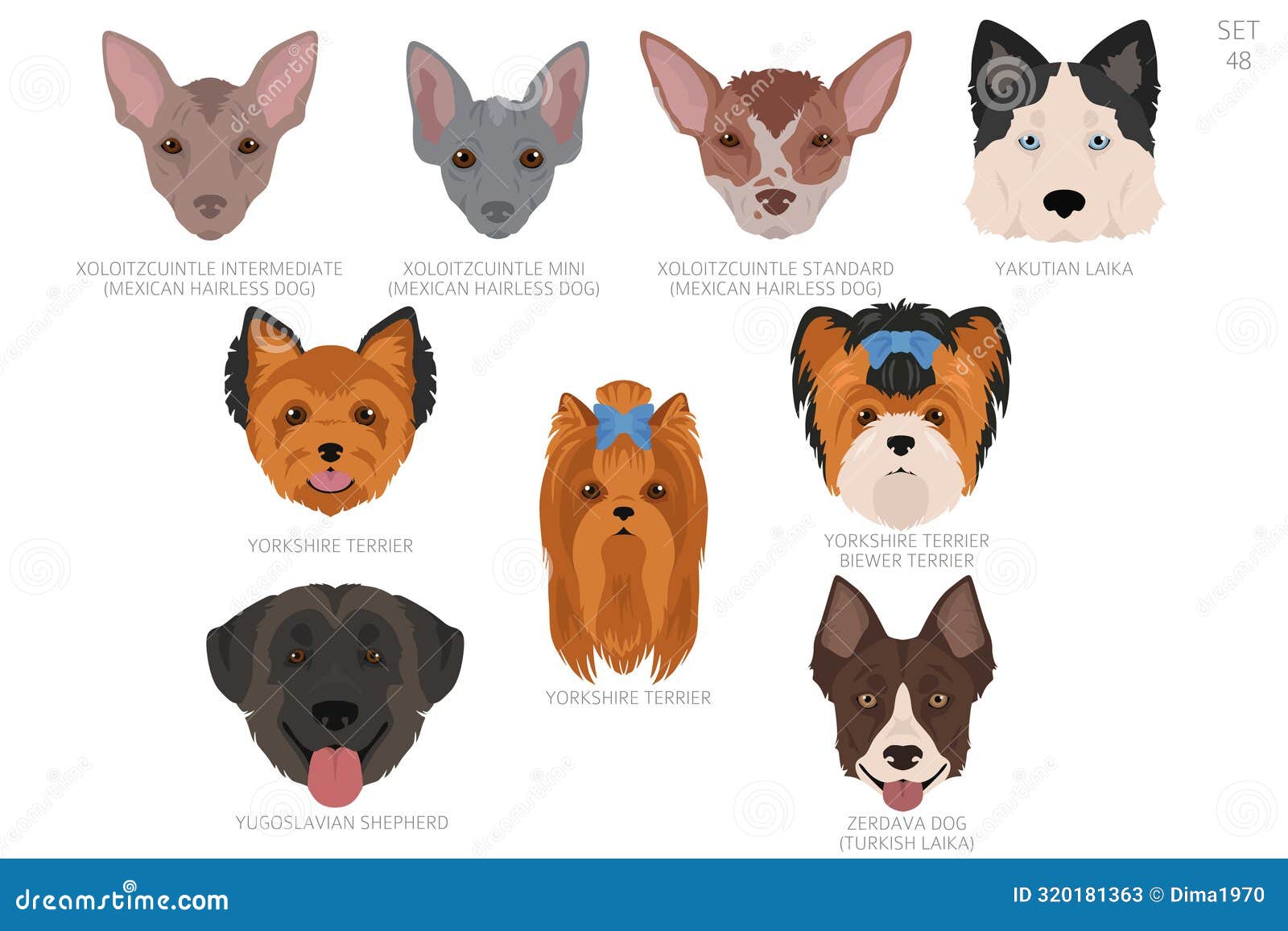 Dog Head in Alphabet Order. All Dog Breeds Stock Vector - Illustration ...