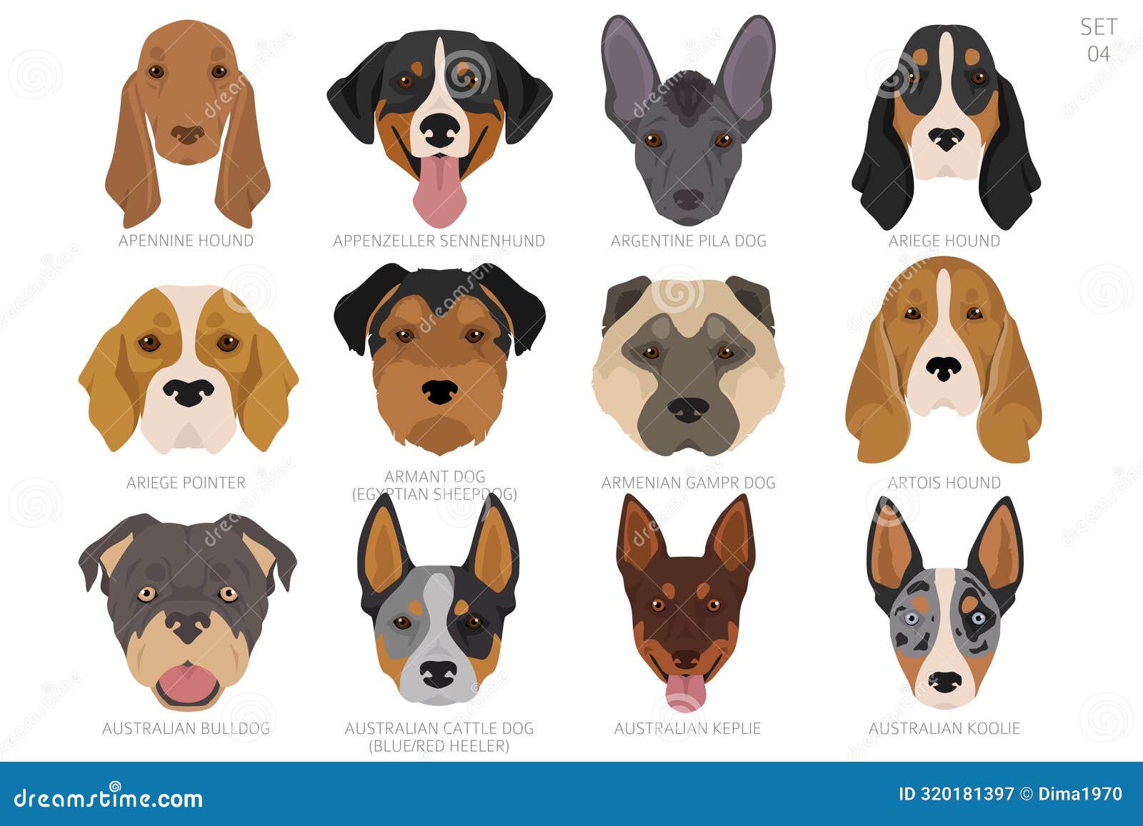 Dog Head in Alphabet Order. All Dog Breeds Stock Vector - Illustration ...