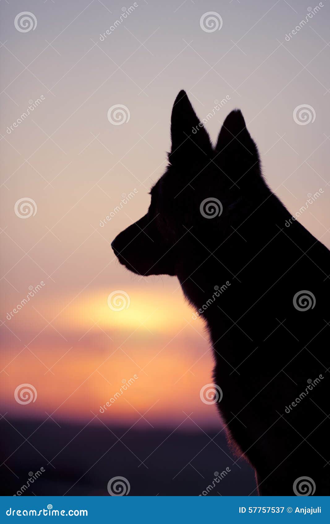 Dog Head Backlight Silhouette in Sunset Stock Image - Image of dusk ...