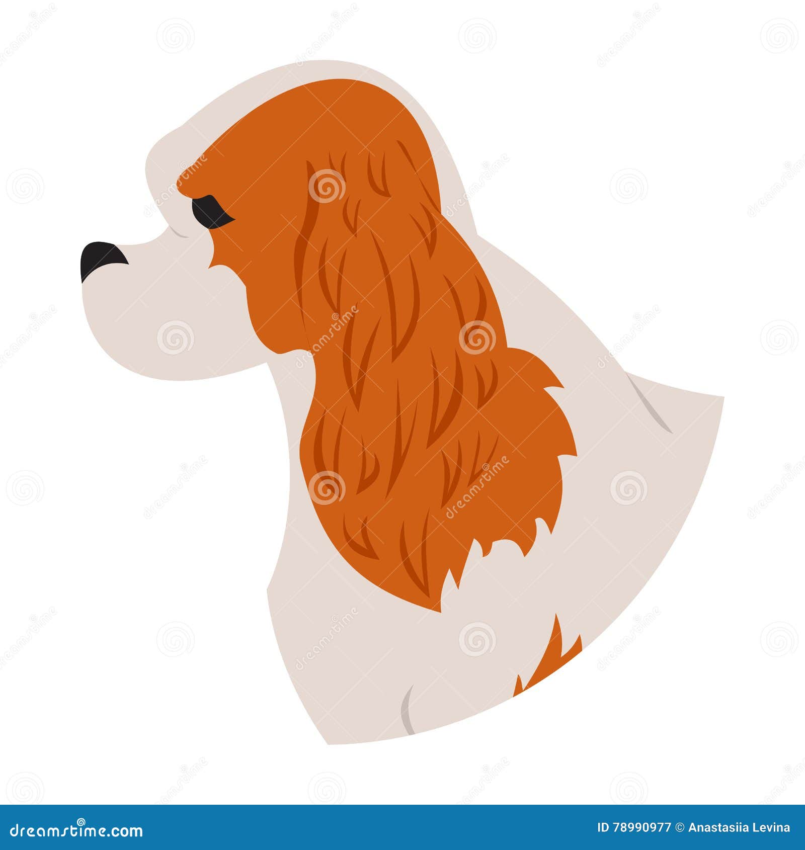 Dog Head Cavalier Charles King Spaniel Cartoon Vector | CartoonDealer ...