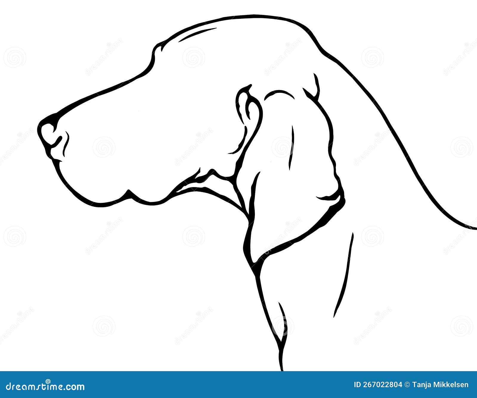 Dog head design ~ stock photo. Illustration of breed - 267022804