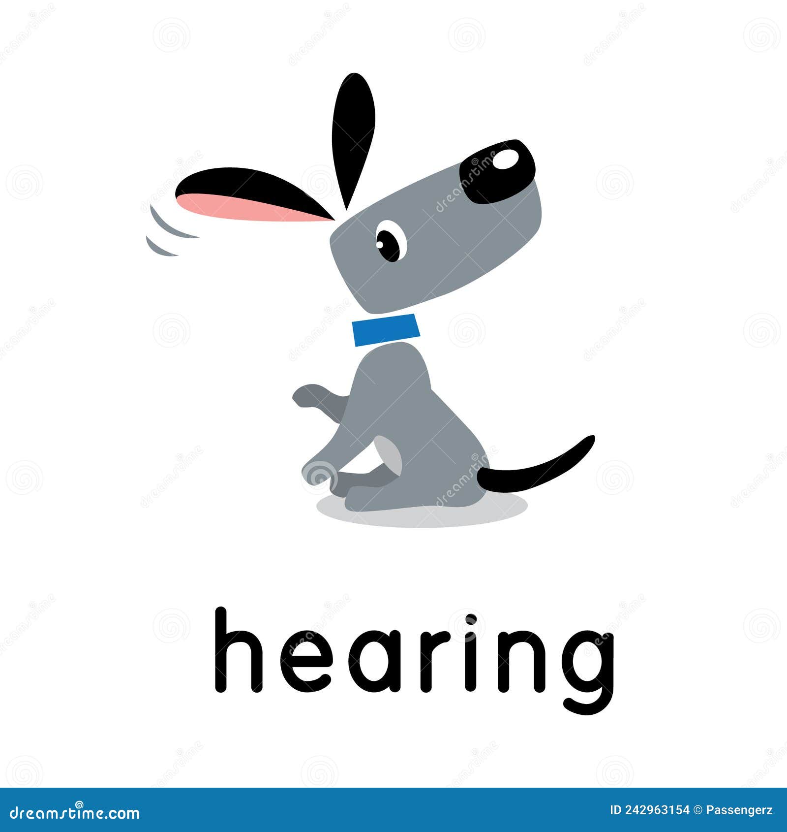 Animal Hearing Frequency Range. Hearing Range Describes The Rang Vector ... Animal Hearing Frequency Range. Hearing Range Describes The Rang Vector ...