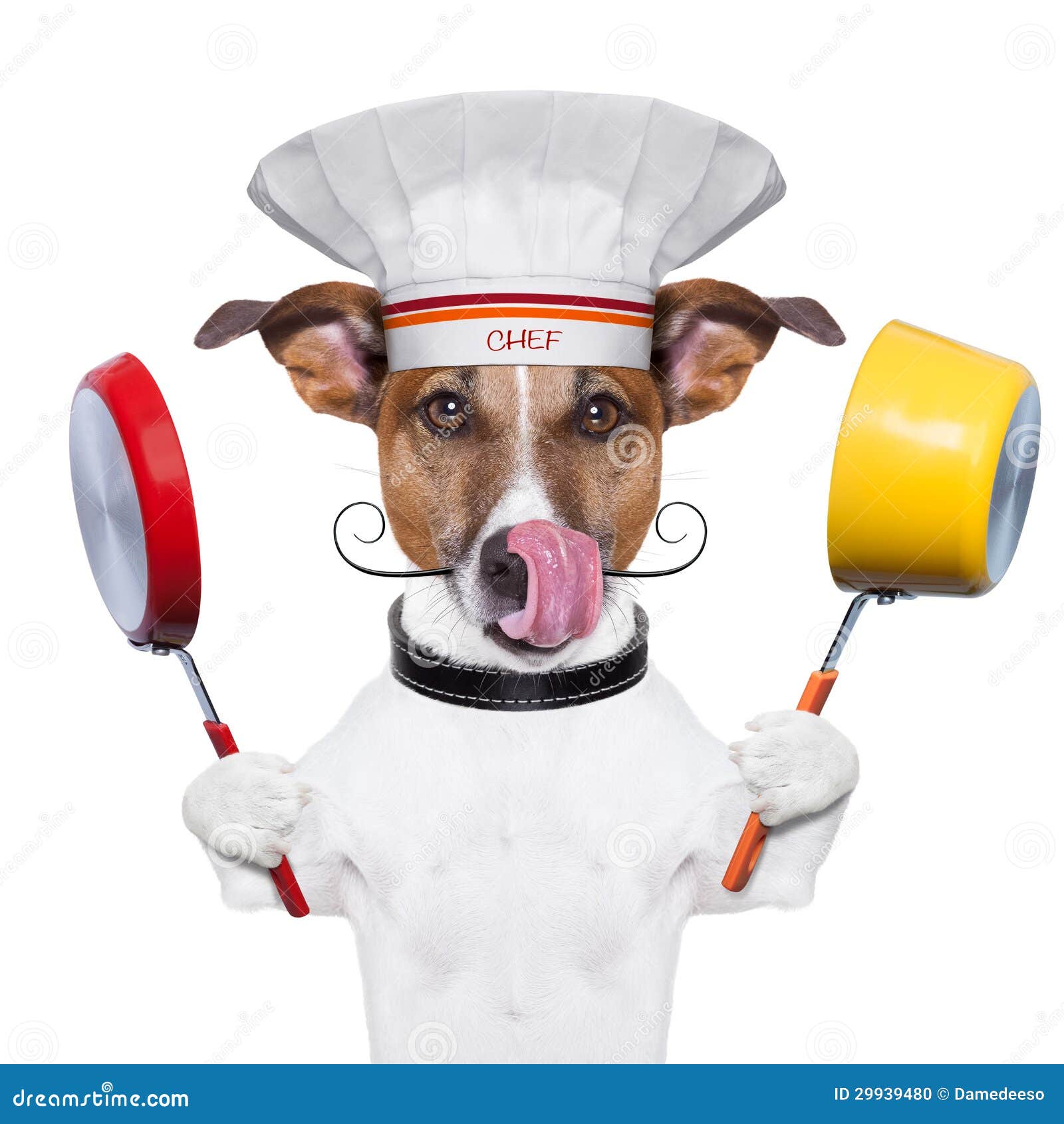 Dog cook chef stock photo. Image of appetite, restaurant - 29939480