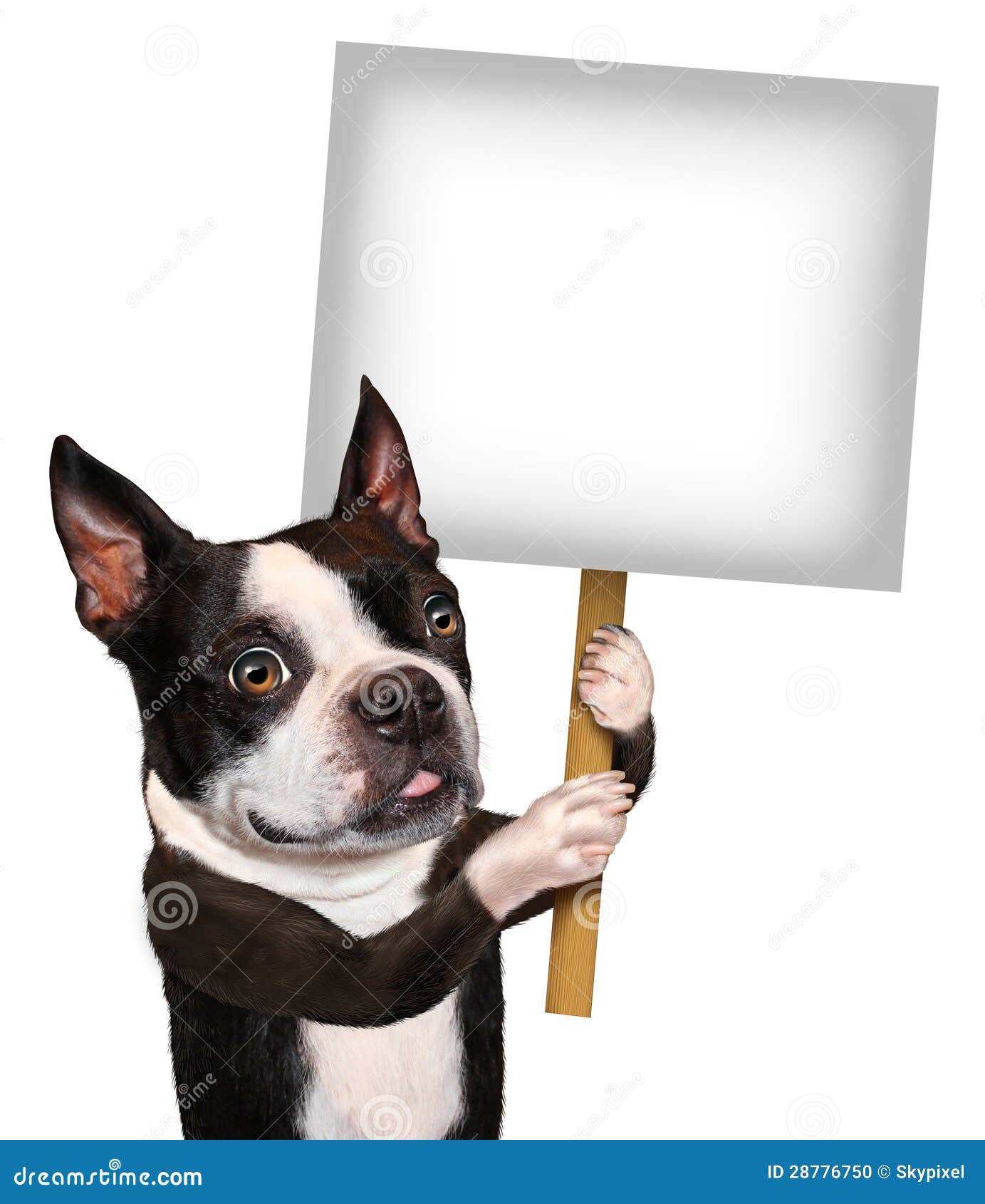 Dog Holding Sign stock illustration. Illustration of message - 28776750
