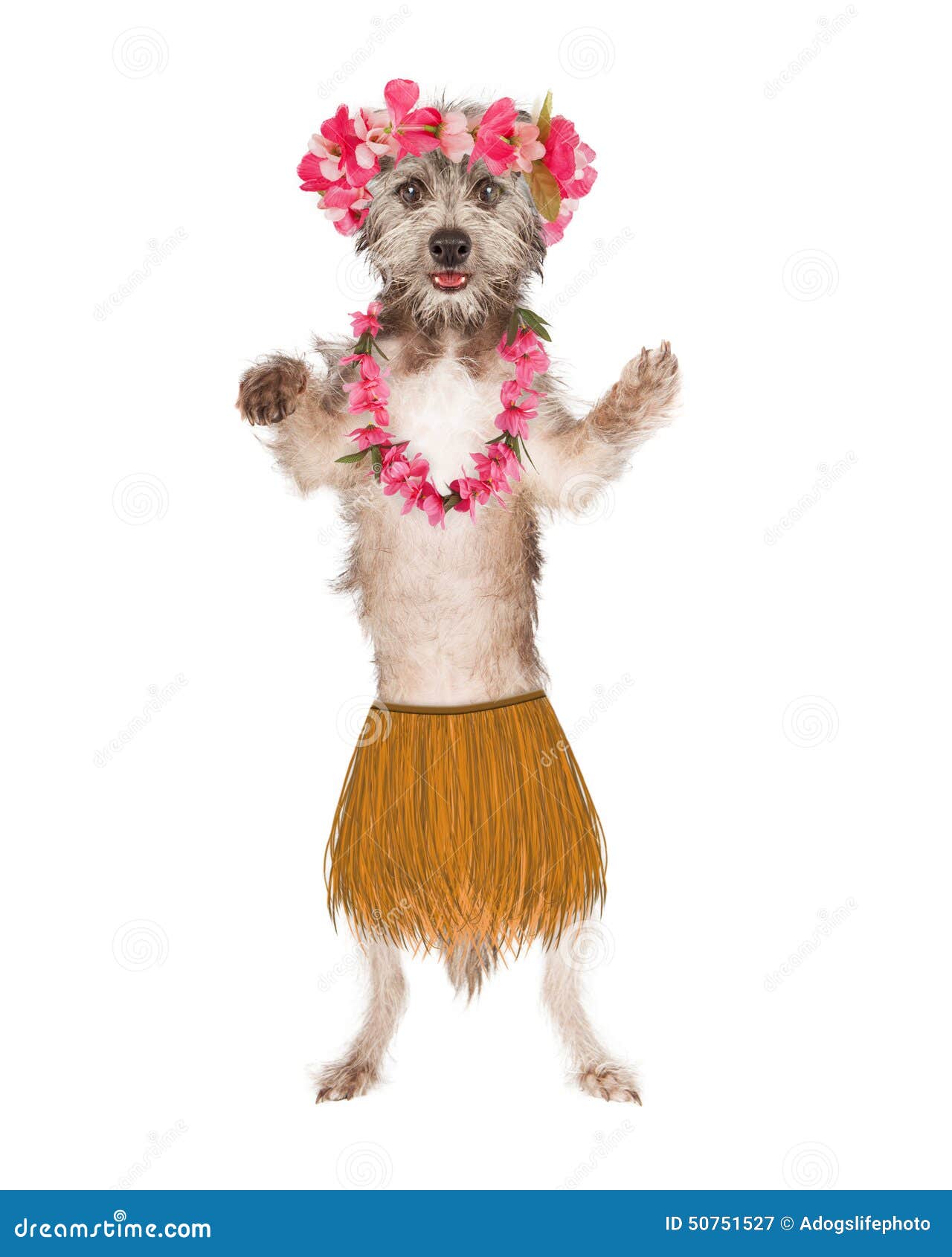 Dog Hula Dancer Stock Illustrations – 2 Dog Hula Dancer Stock ...
