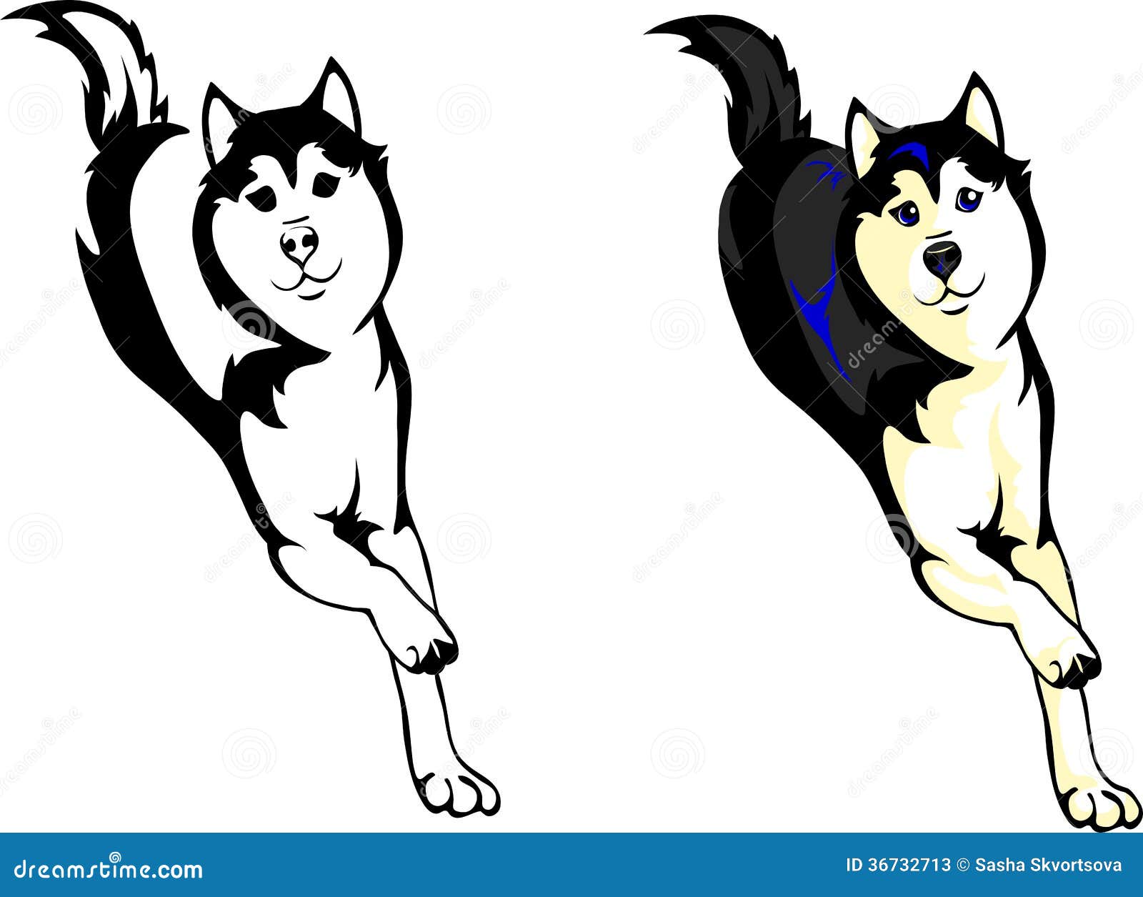 Dog Huskies stock vector. Illustration of husky, drawing - 36732713