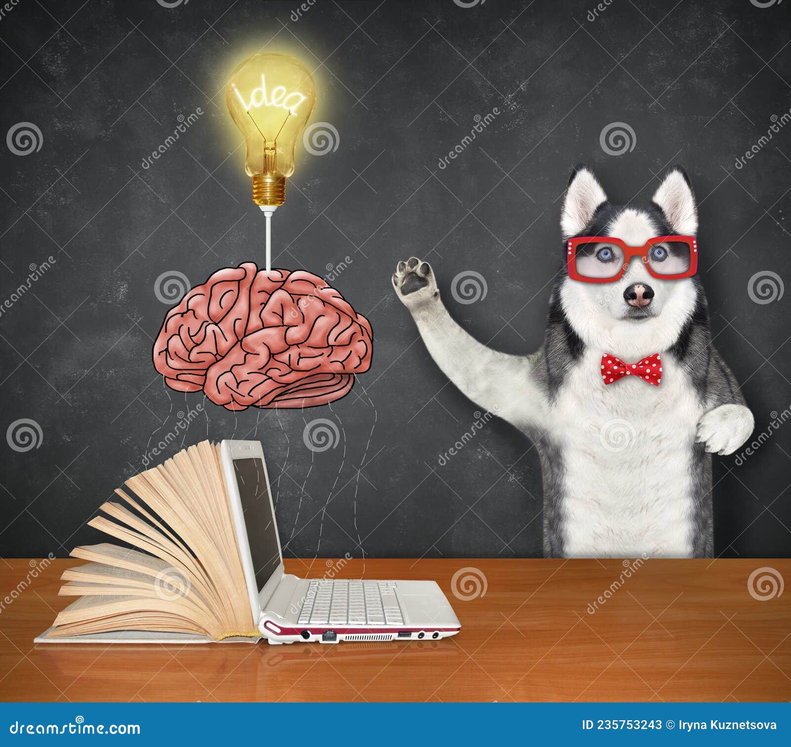 Dog Husky Near Light Bulb Above Brain Stock Image - Image of education ...