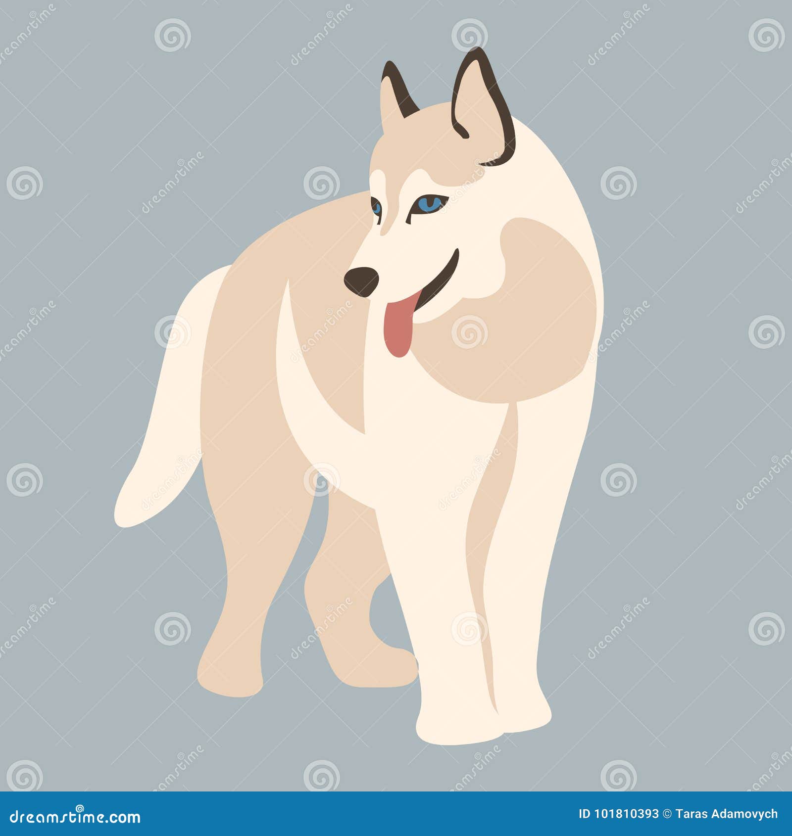 Dog Husky Vector Illustration Style Flat Stock Vector - Illustration of ...