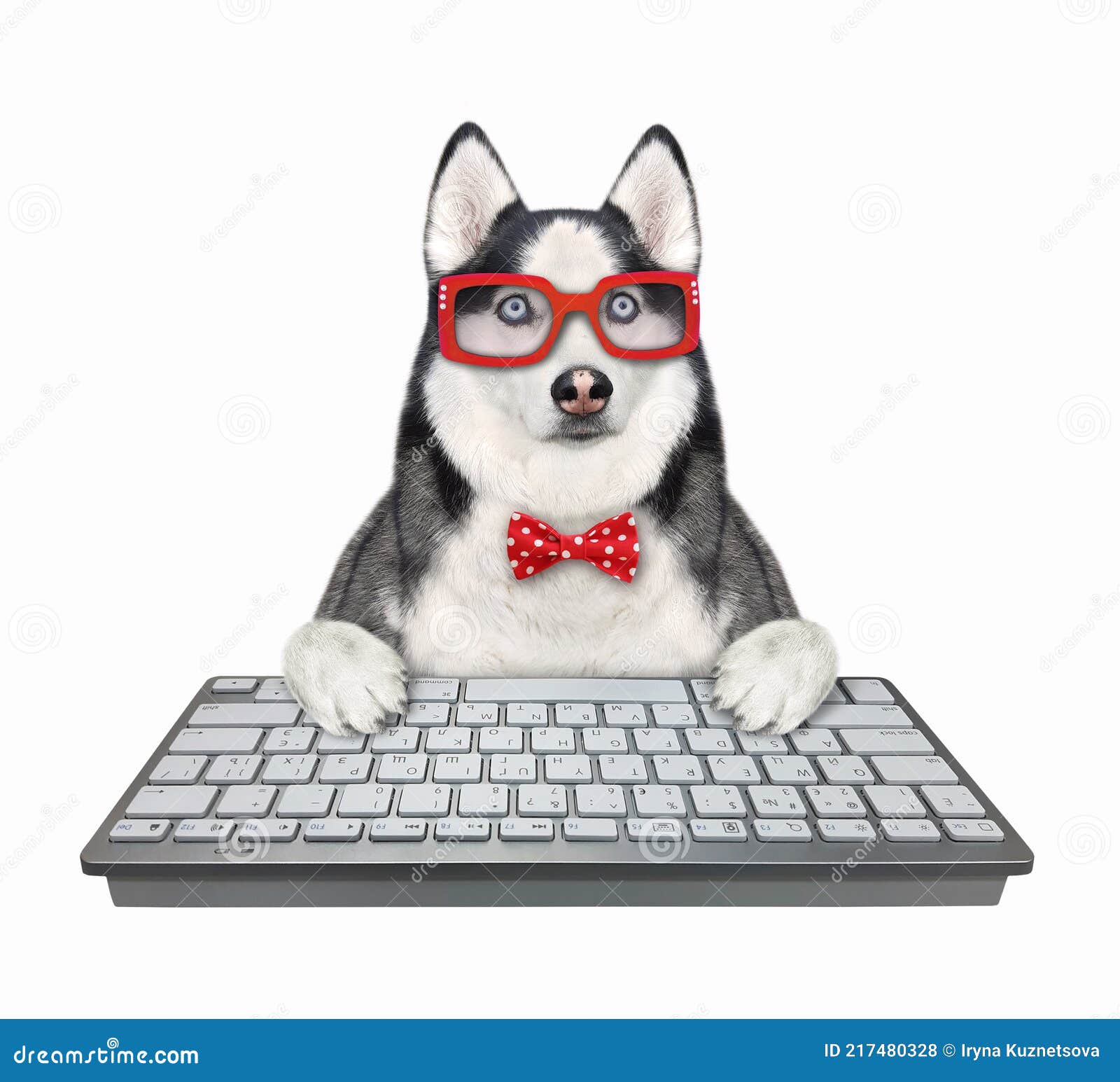 Dog Typing On Keyboard