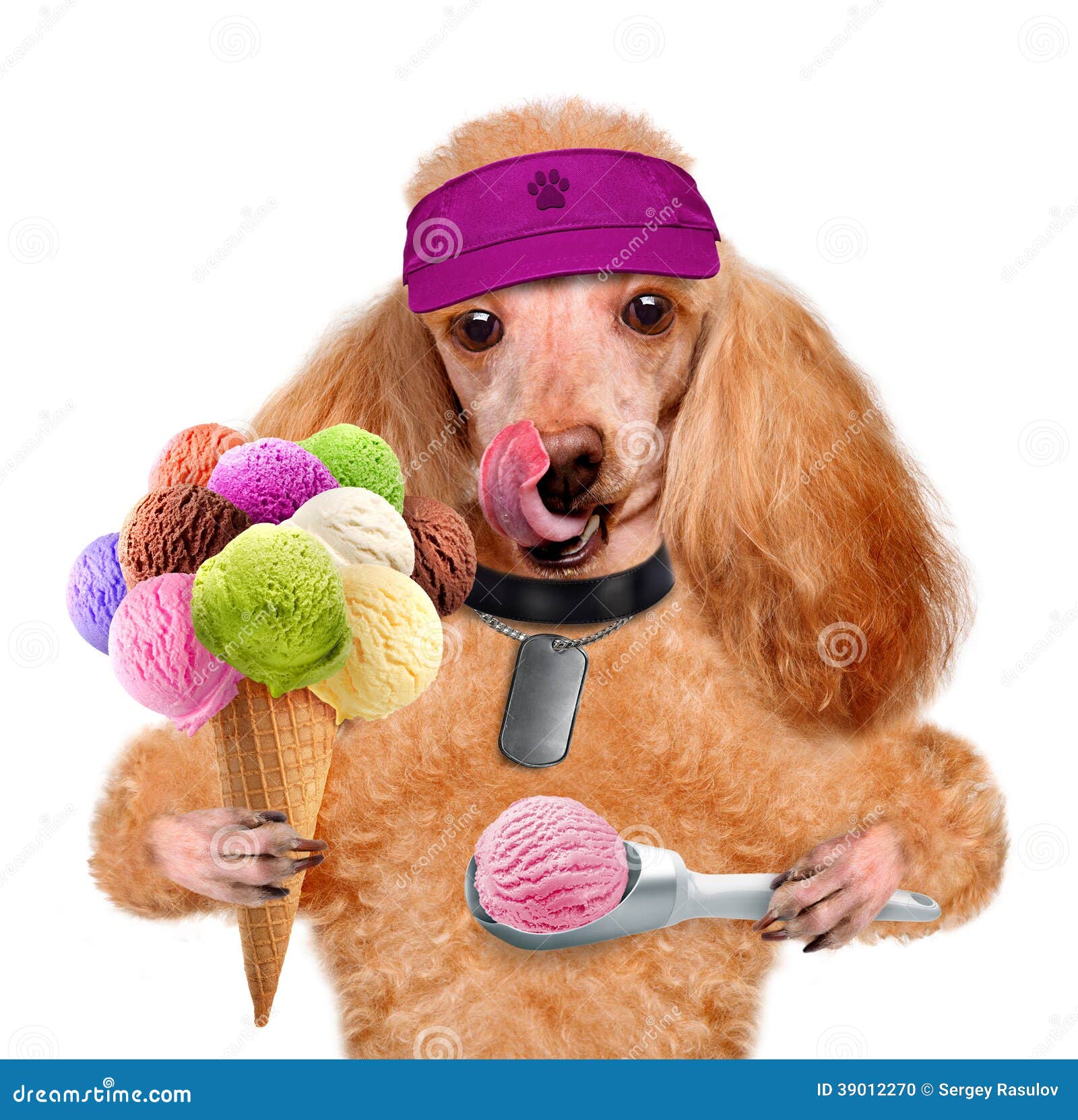 Dog with ice cream stock photo. Image of cute, calories - 39012270