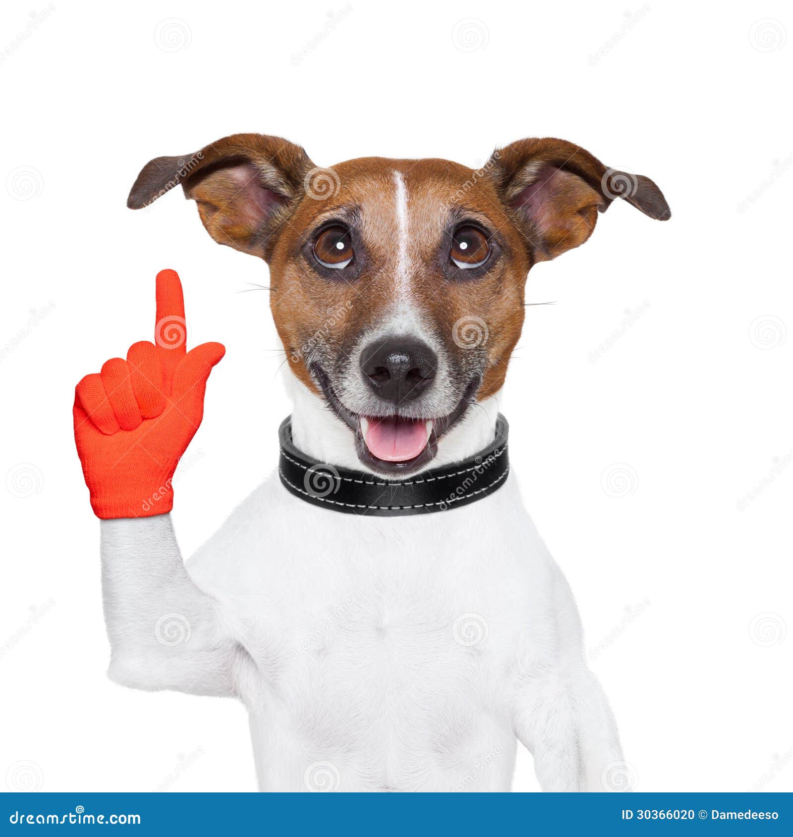 Dog idea stock photo. Image of energy, creativity, imagine - 30366020