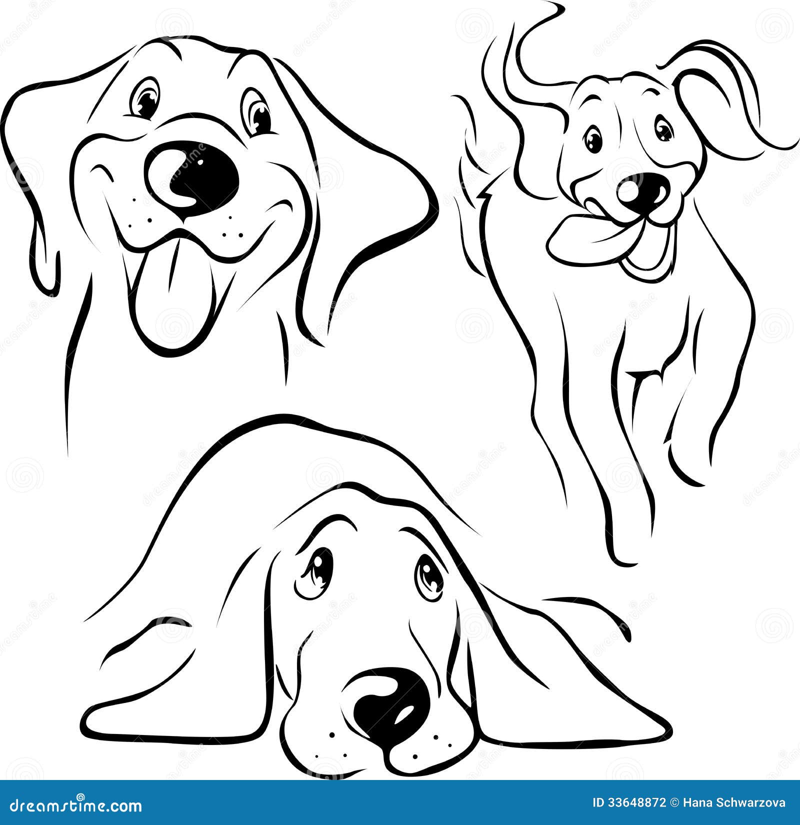 dog line Cheaper Than Retail Price> Buy Clothing, Accessories and ...