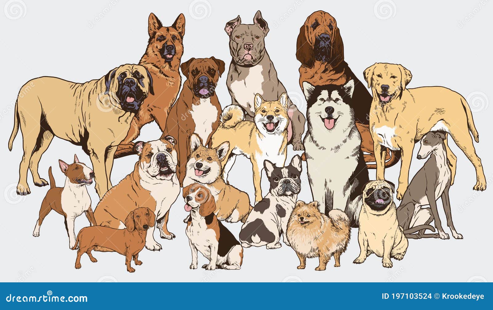 Dog Illustration Collection. Stock Vector - Illustration of husky, jack ...